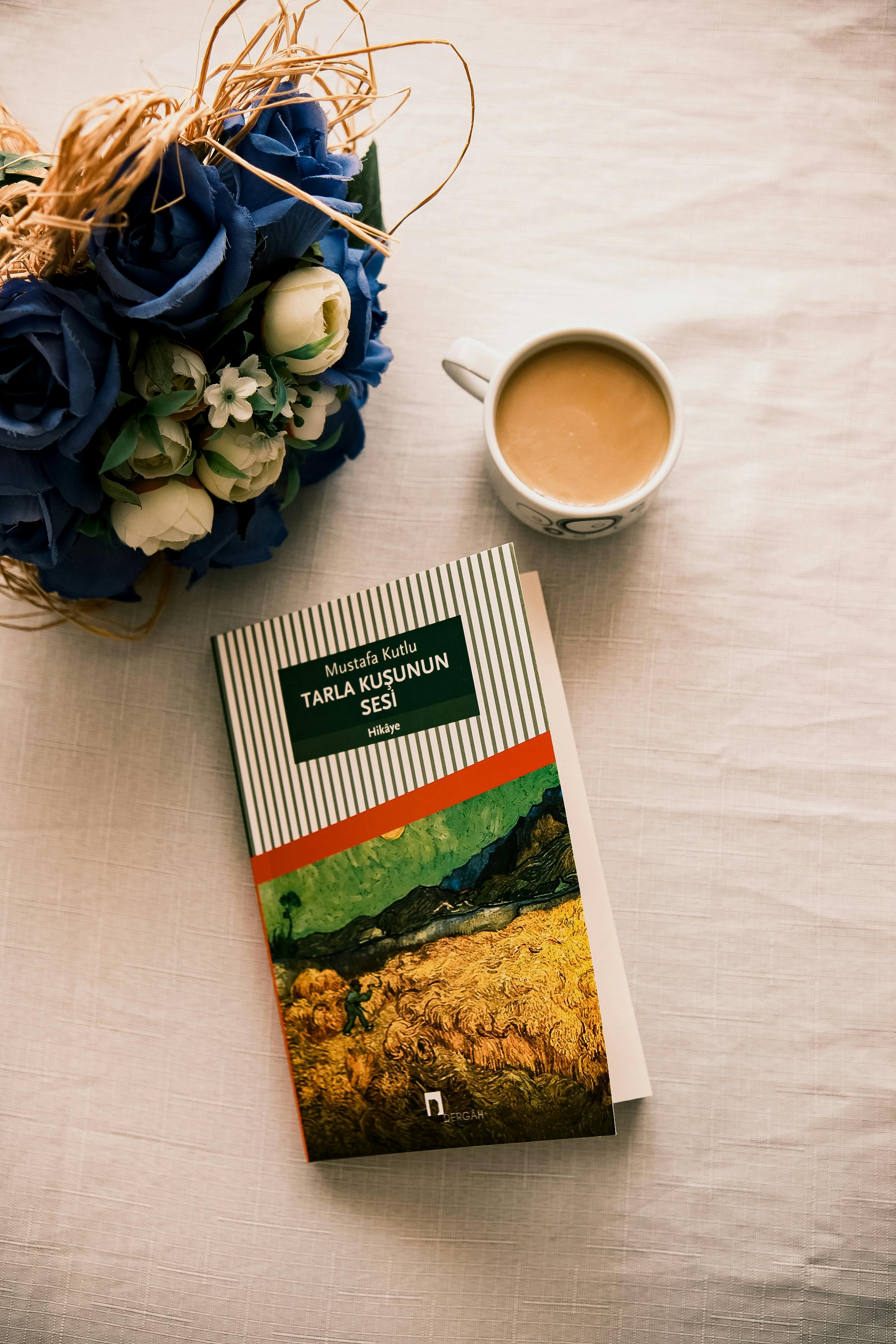 Book Reading Photos, Download The BEST Free Book Reading Stock Photos ...