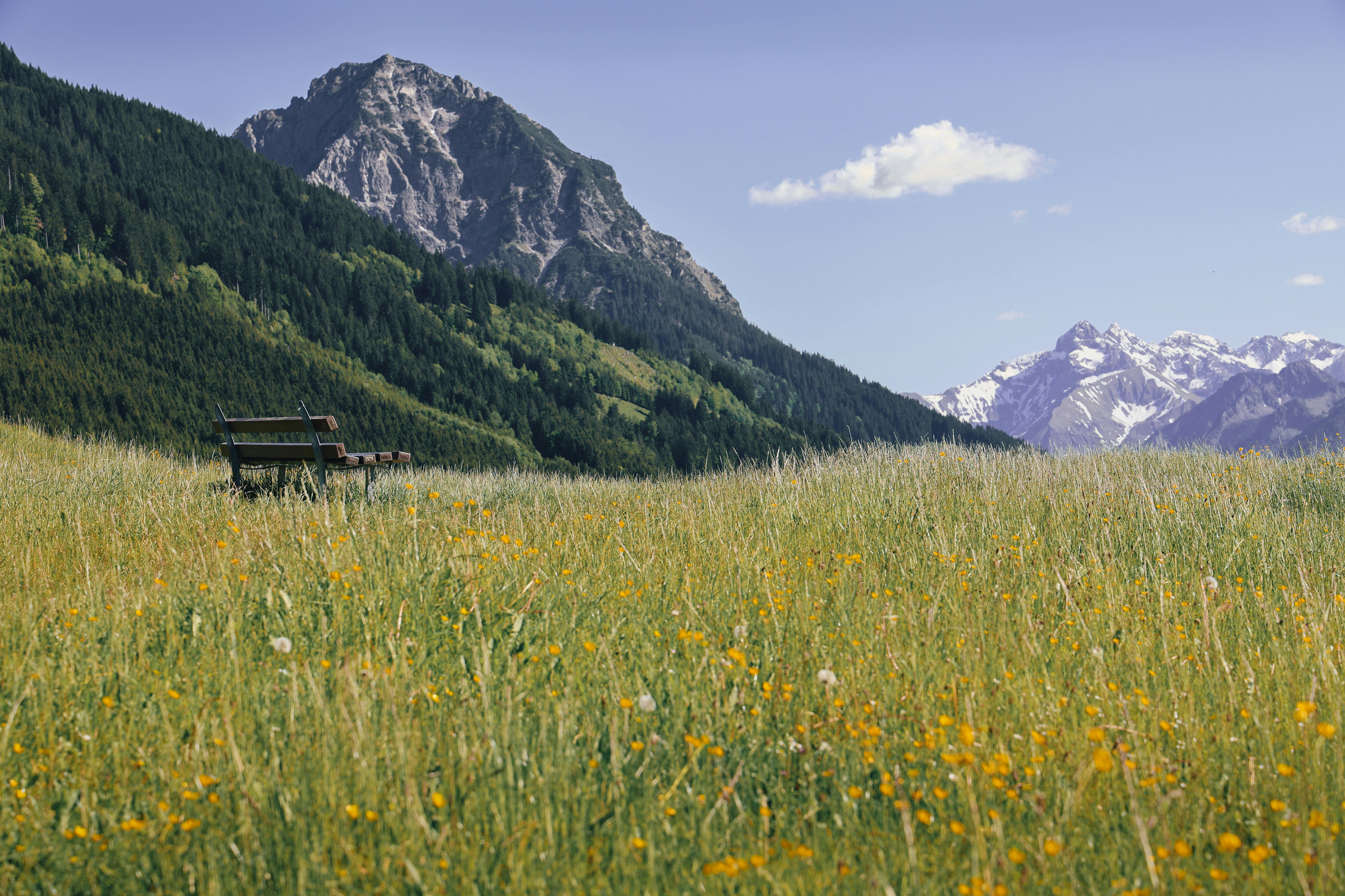 Kostenloses Foto zum Thema: alpen, alpenblick, alps, außenraum ...