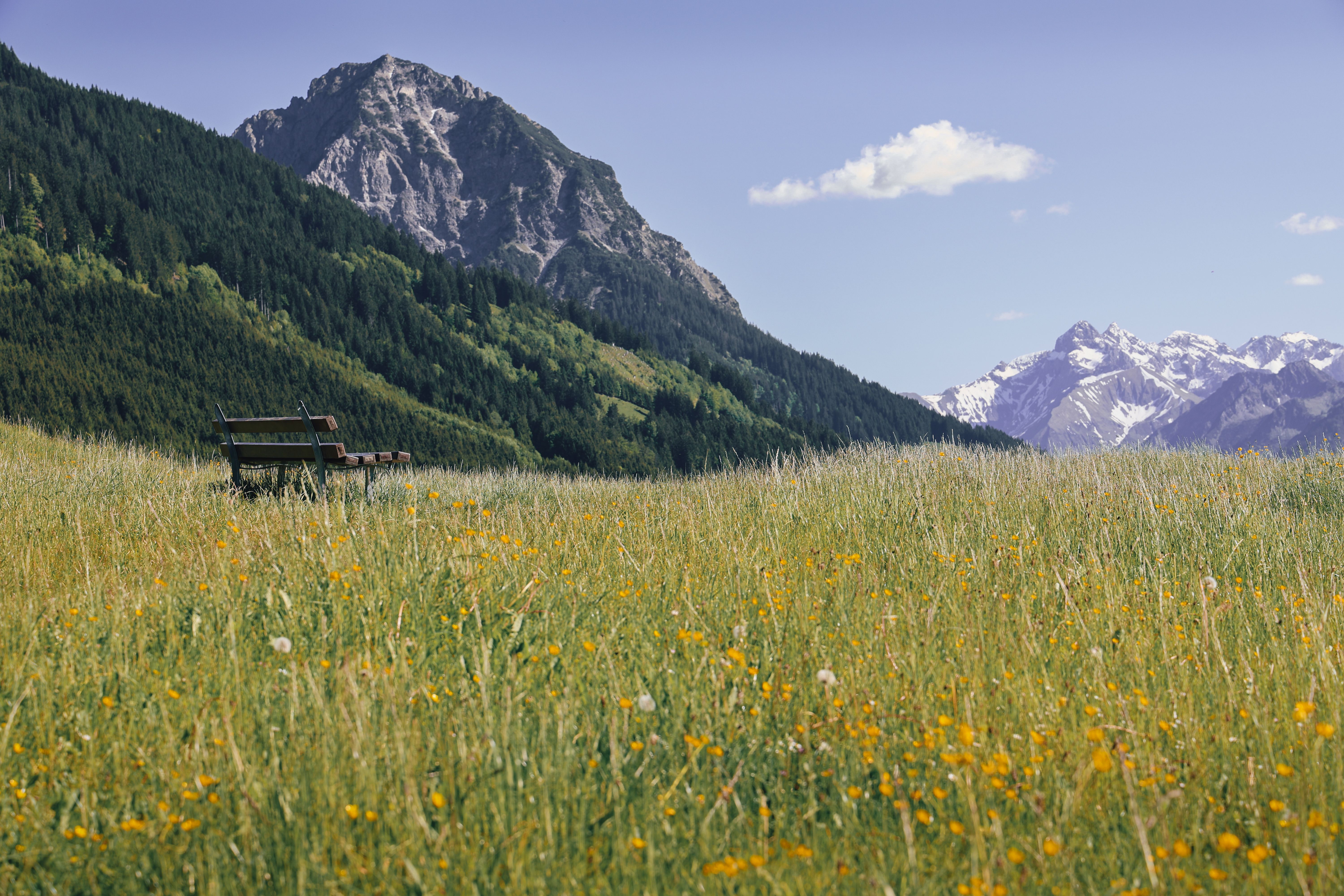 Scenic View of Bavarian Alps with Bench · Free Stock Photo