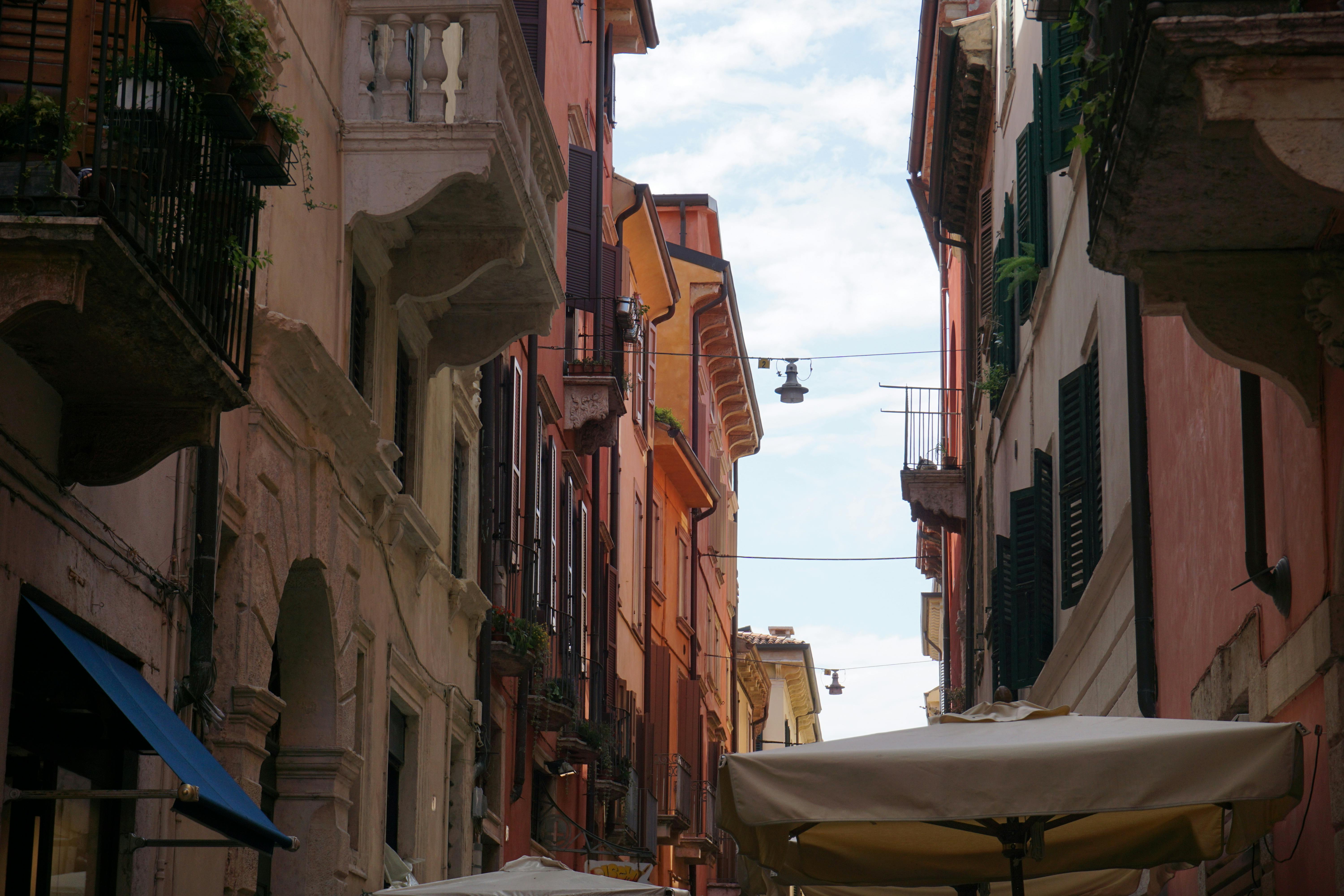 Windows Cat Wallpaper Photos, Download The BEST Free Windows Cat ...