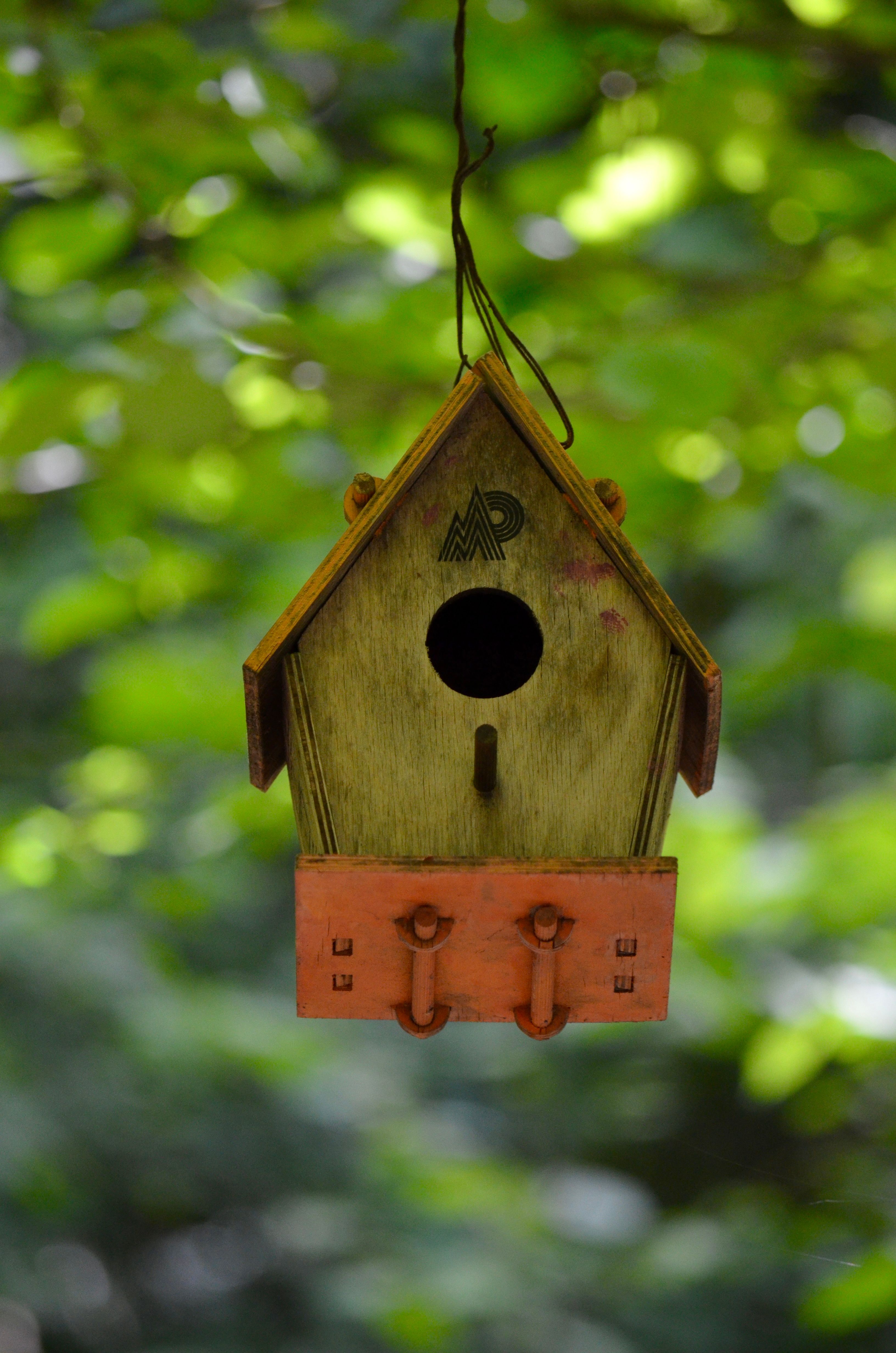 Colorful Wooden Birdhouse Hanging Outdoors · Free Stock Photo