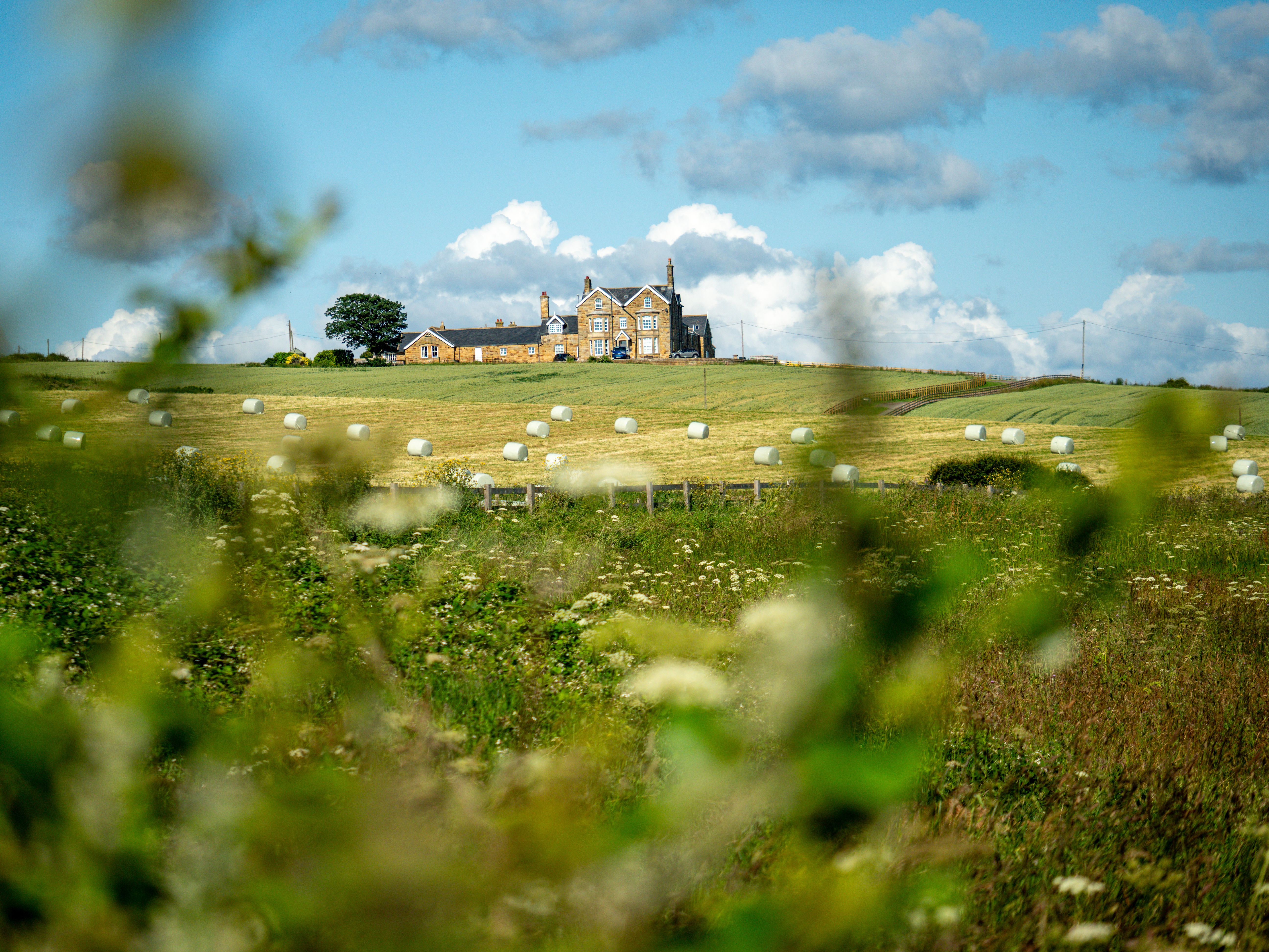 Scenic View of Countryside Estate in Whitby · Free Stock Photo