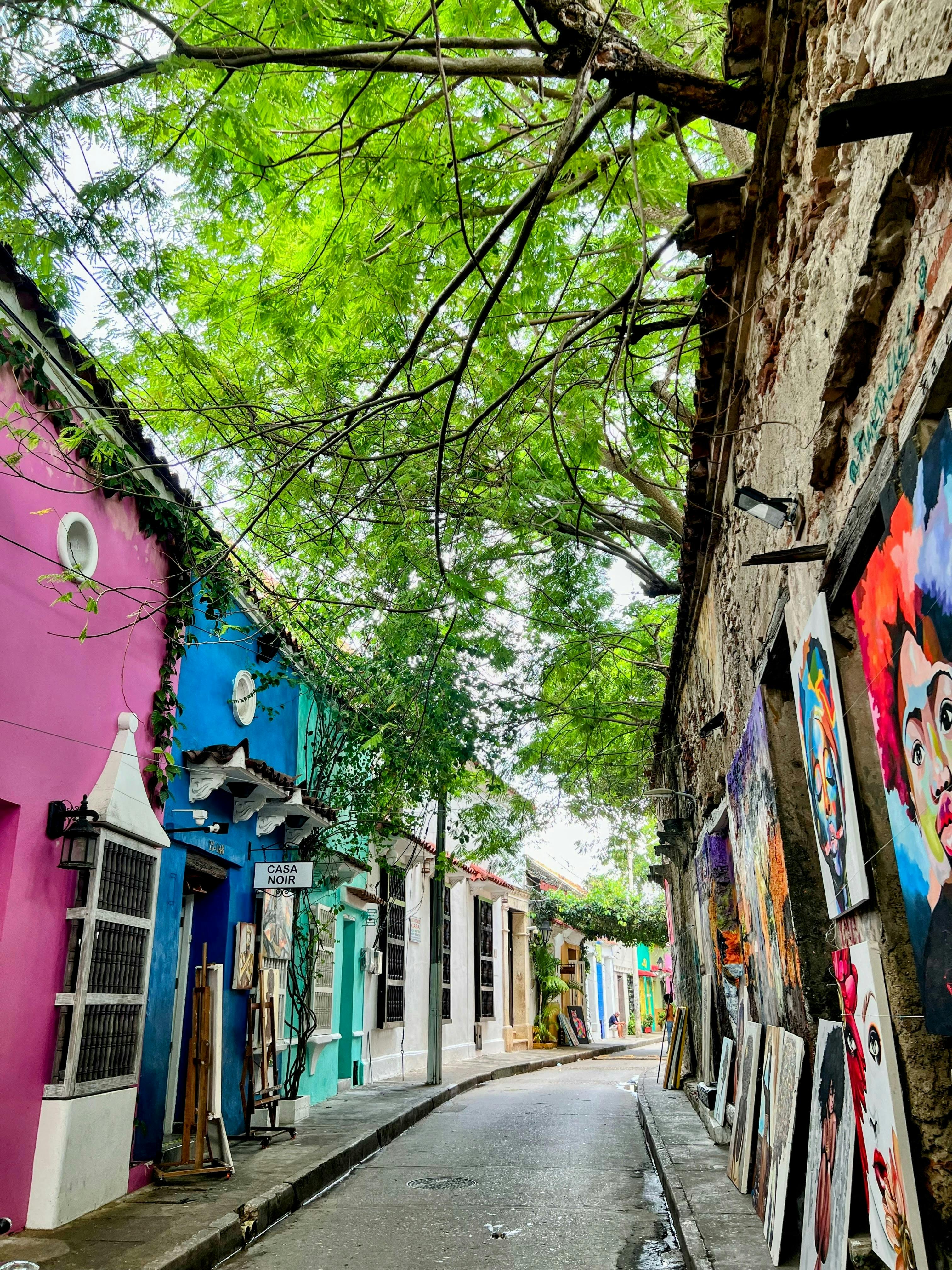 Colorful Alley with Street Art and Vibrant Walls · Free Stock Photo