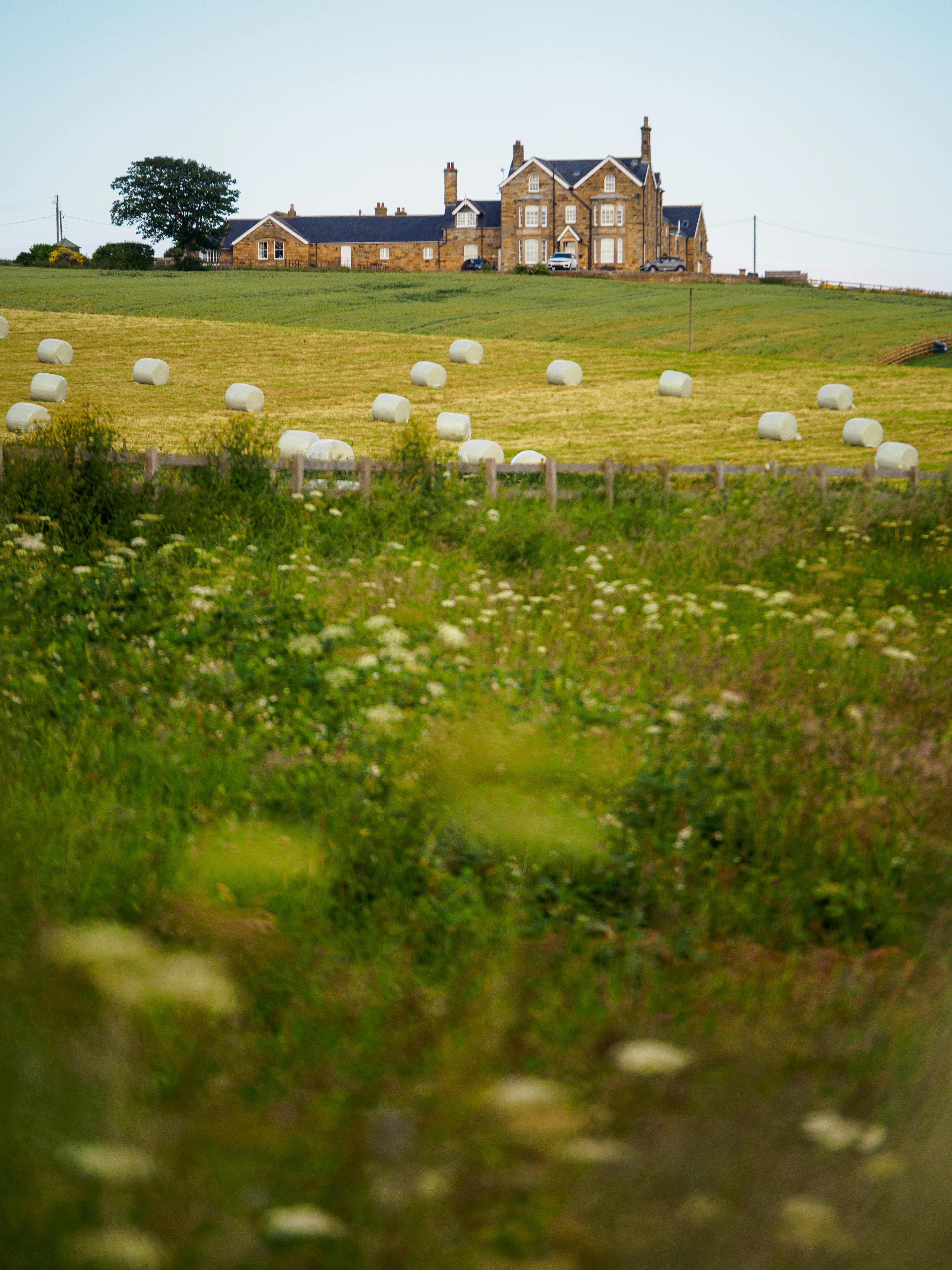 Hay Bale Photos, Download The BEST Free Hay Bale Stock Photos & HD Images