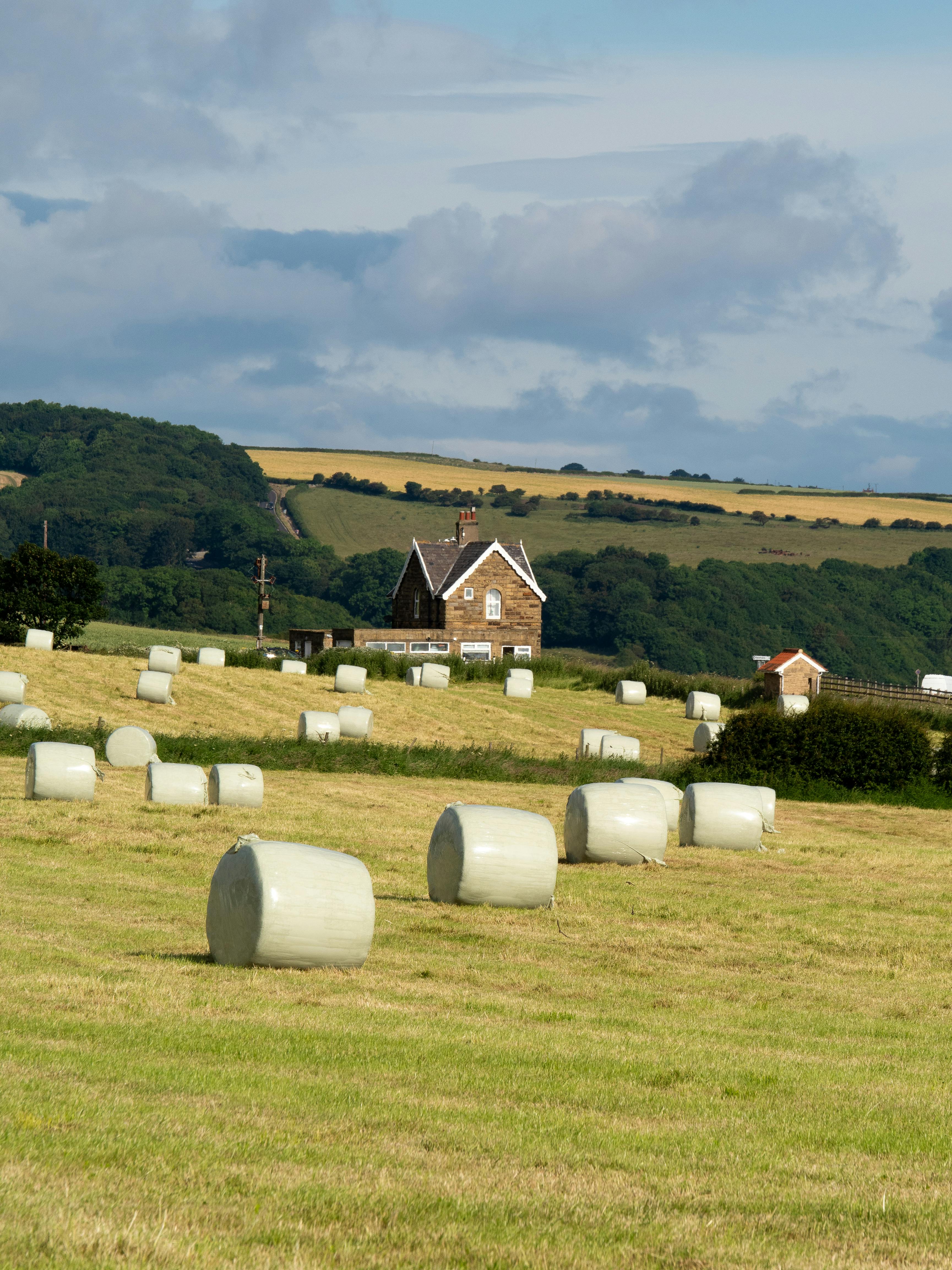 Hot+Slim+And+Stacked+Beautiful+Women Photos, Download The BEST Free Hot ...