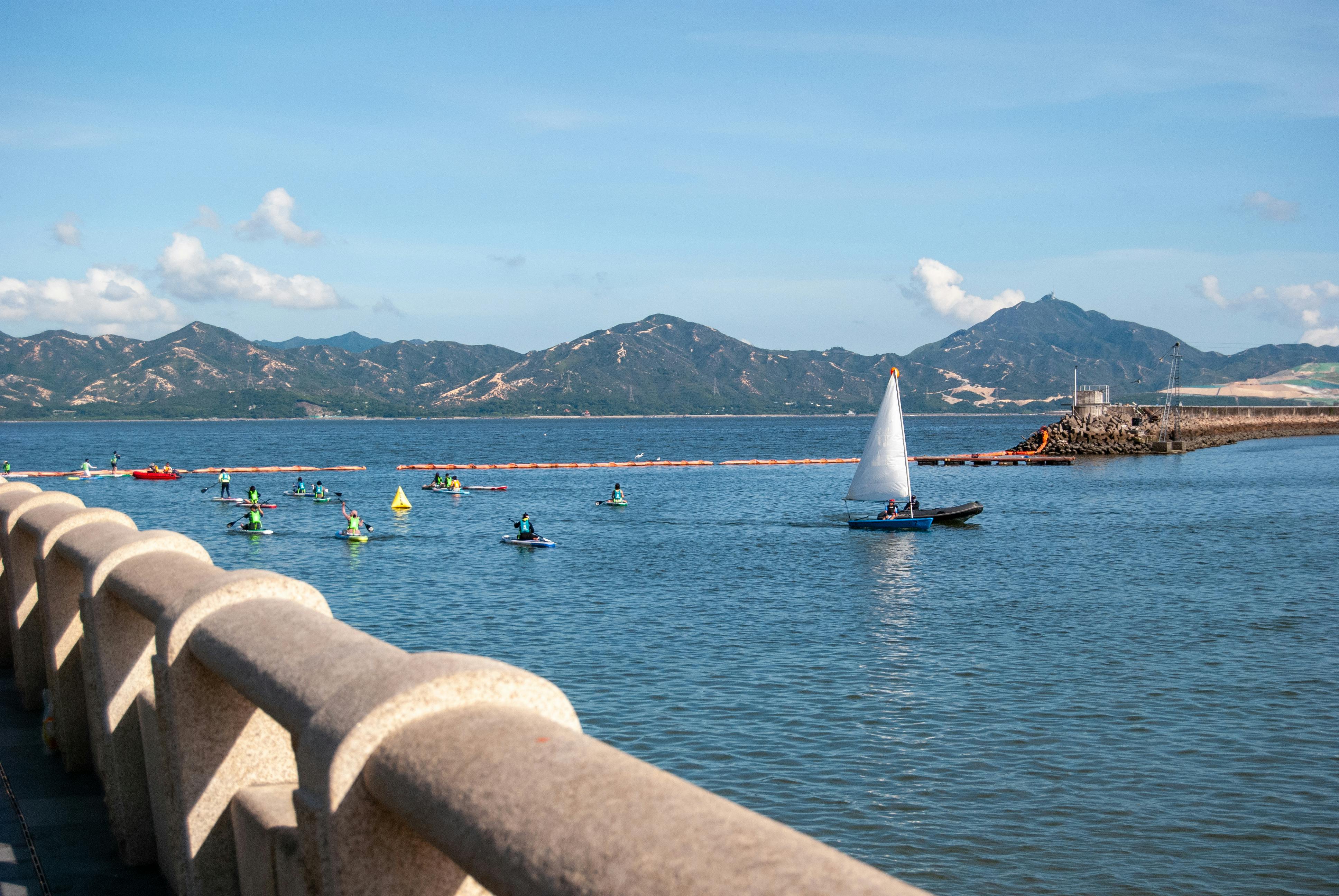 Adobe Photos, Download The BEST Free Adobe Stock Photos & HD Images