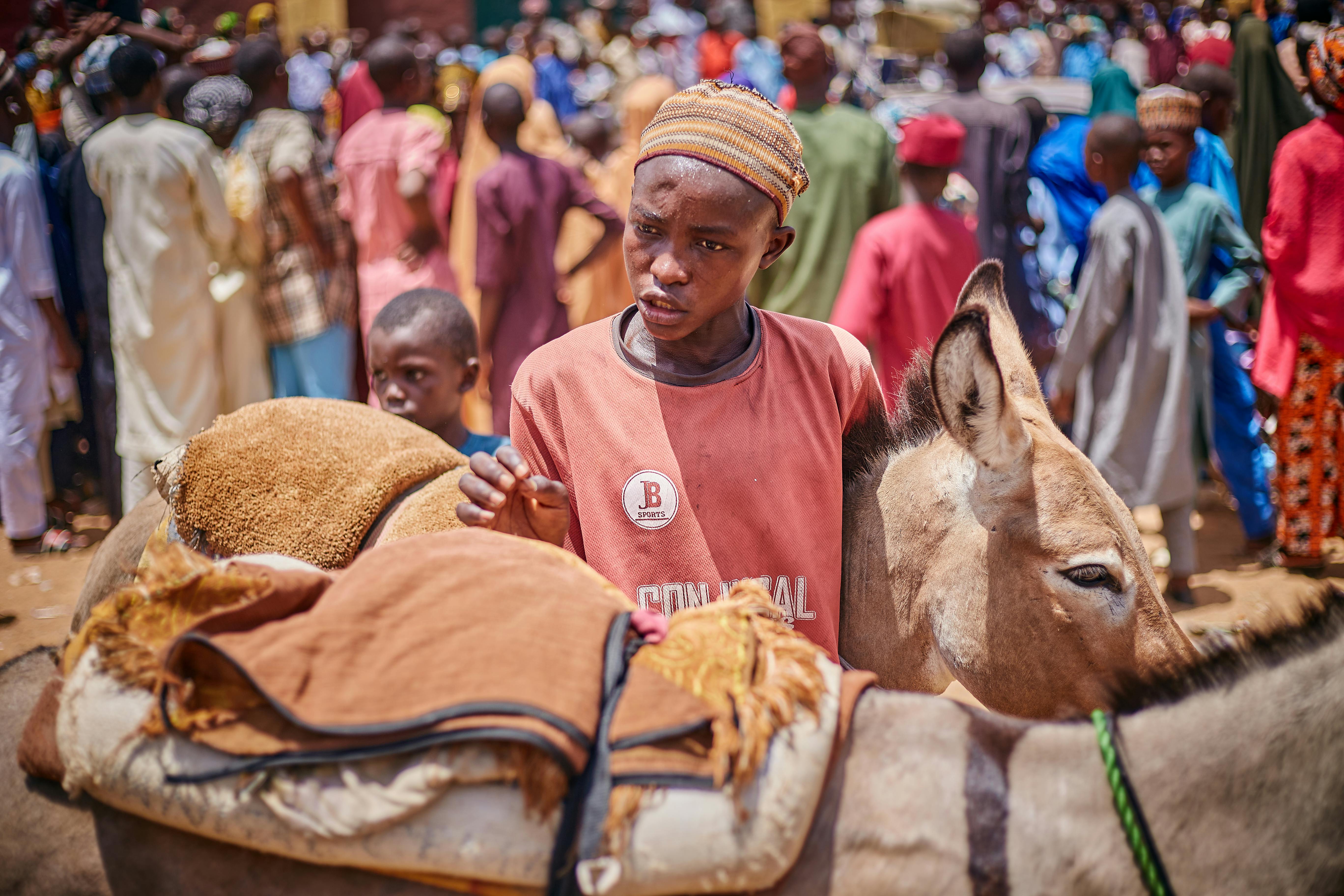 Trade Highschool Photos, Download The BEST Free Trade Highschool Stock ...