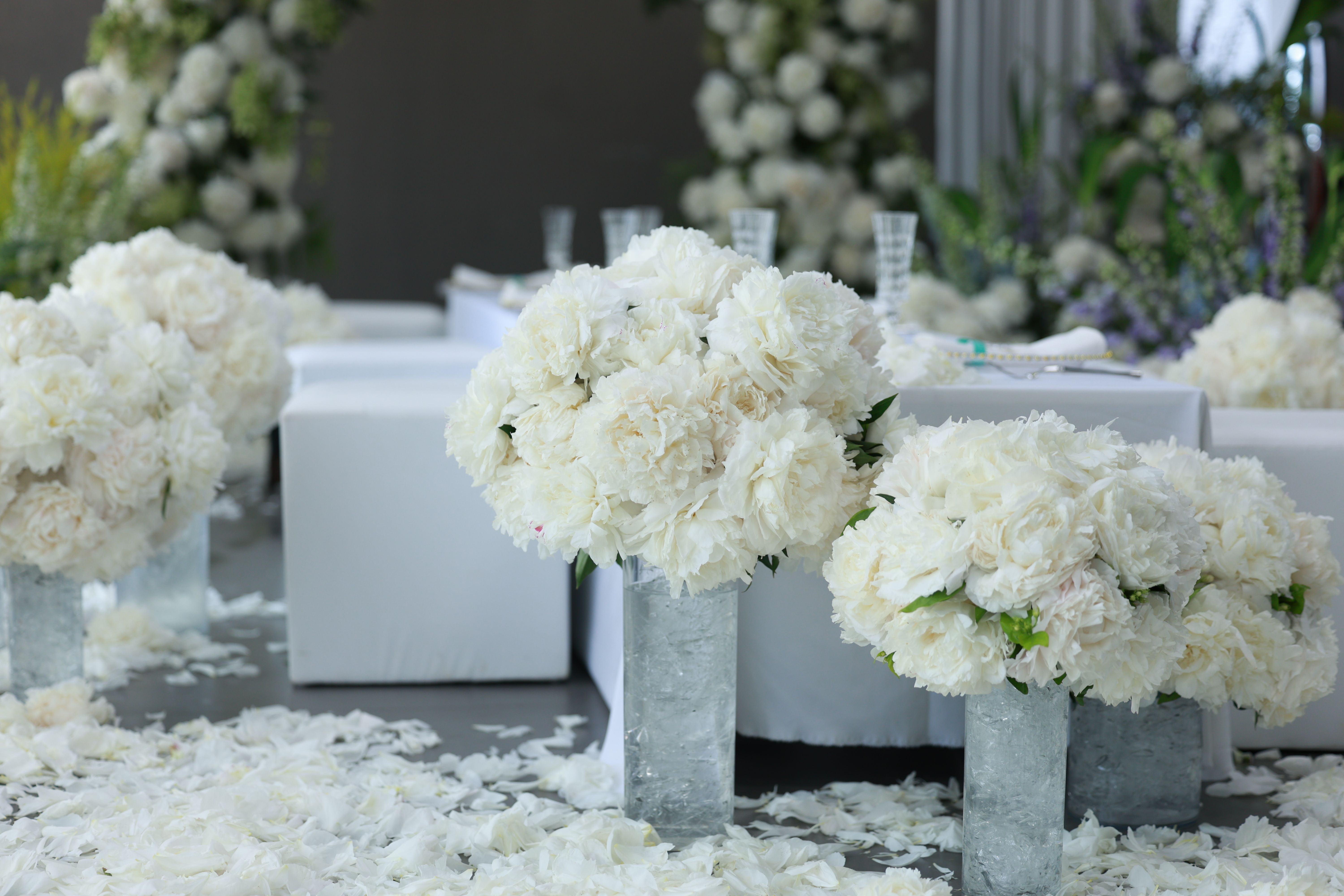 White Theme Photos, Download The BEST Free White Theme Stock Photos ...