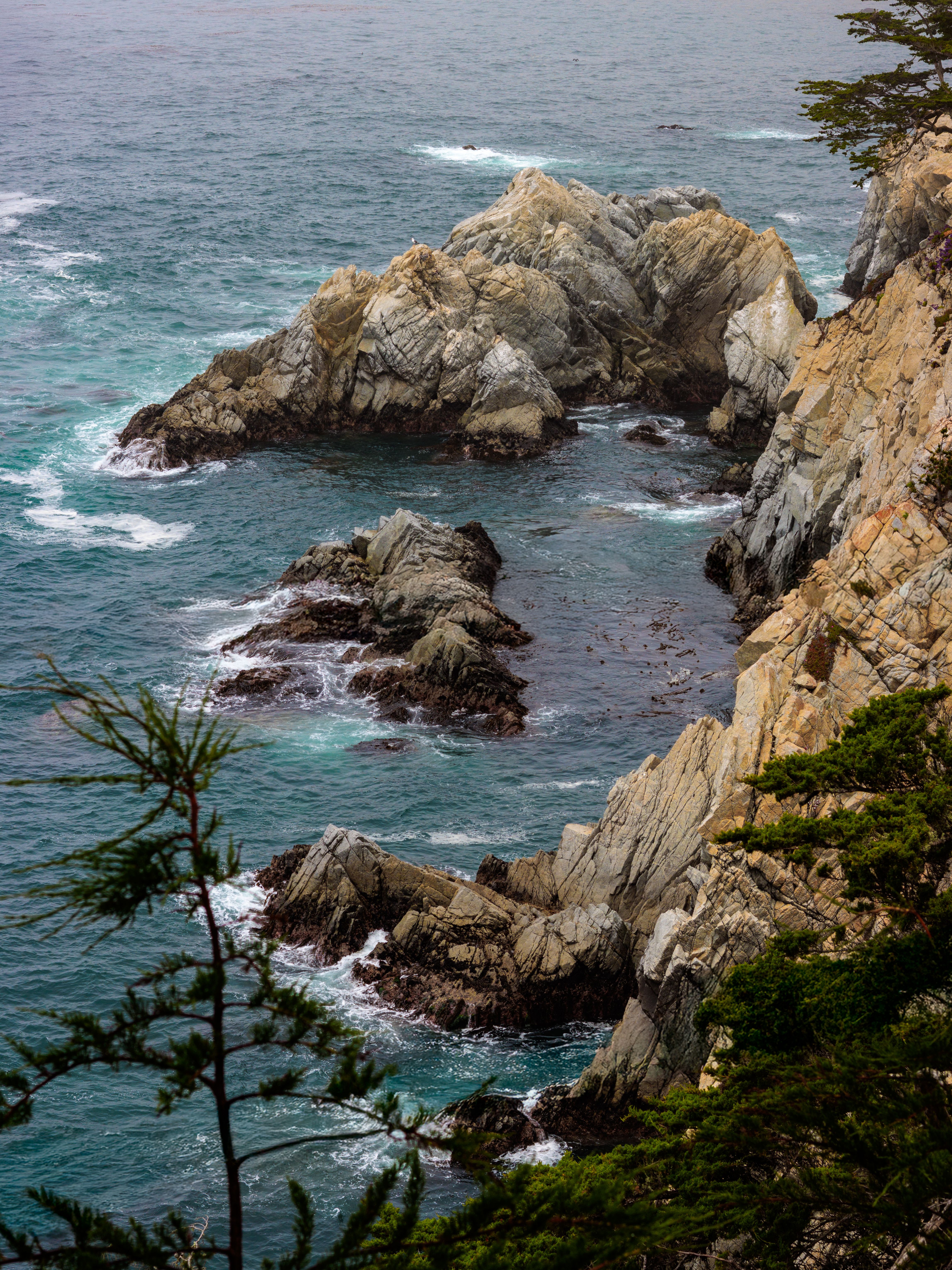 Dramatic Rocky Coastline Along the USA Seaside · Free Stock Photo