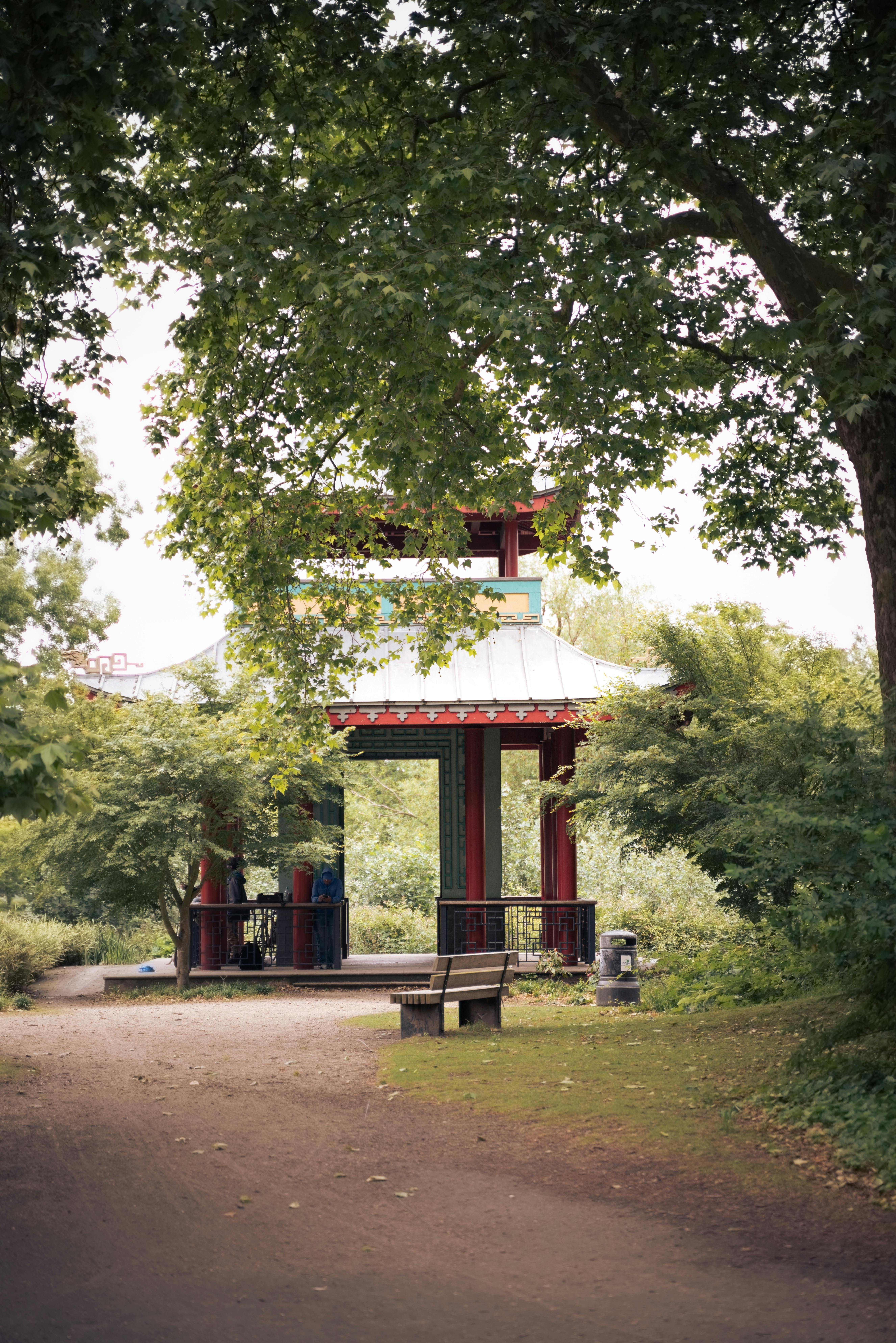 Trees Greenary 8k Wallpaper Photos, Download The BEST Free Trees ...