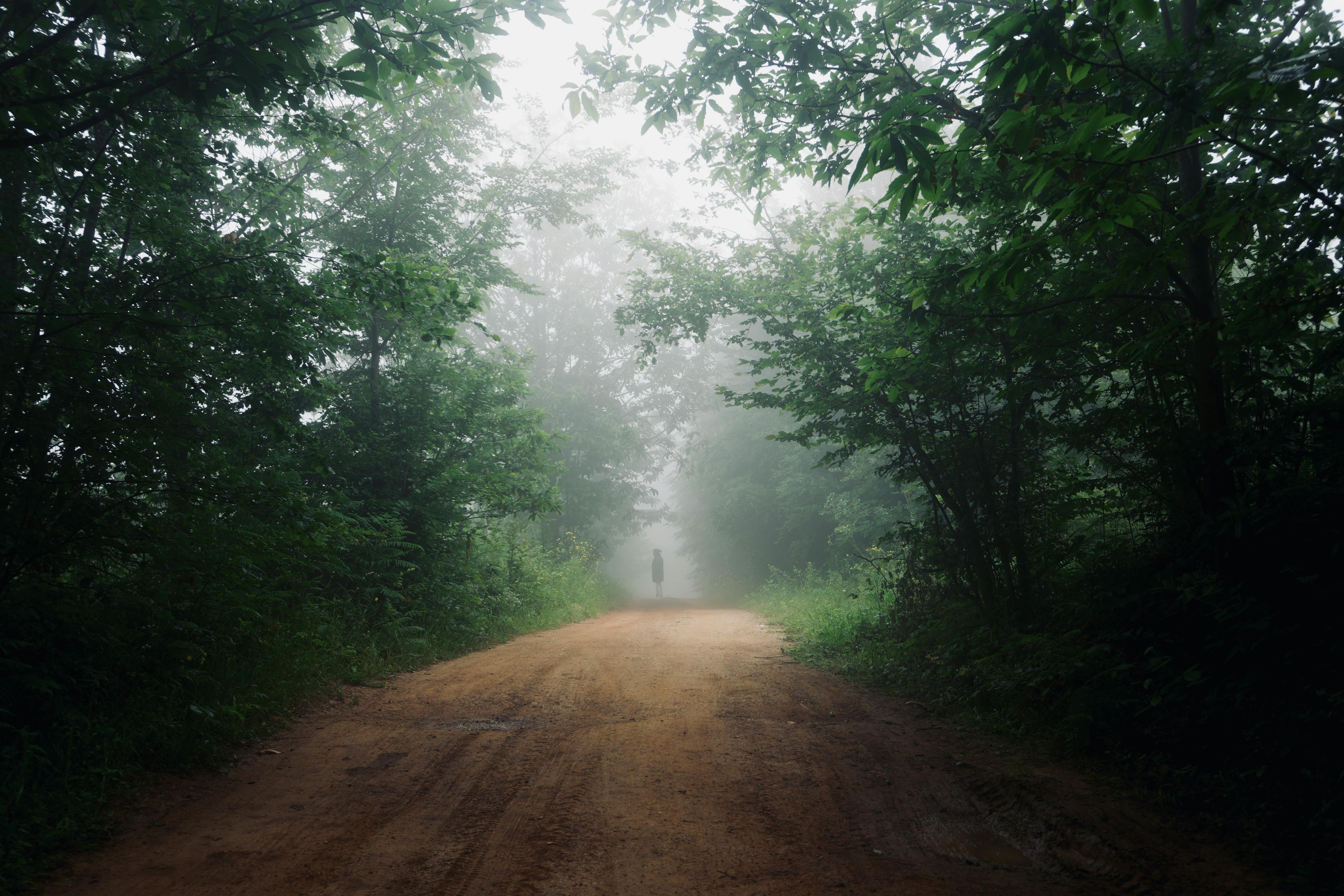 Om+Krishnaya+Vasudevaya+Haraye+Paramatmane+Mantra+Pc+Wallpaper Photos ...