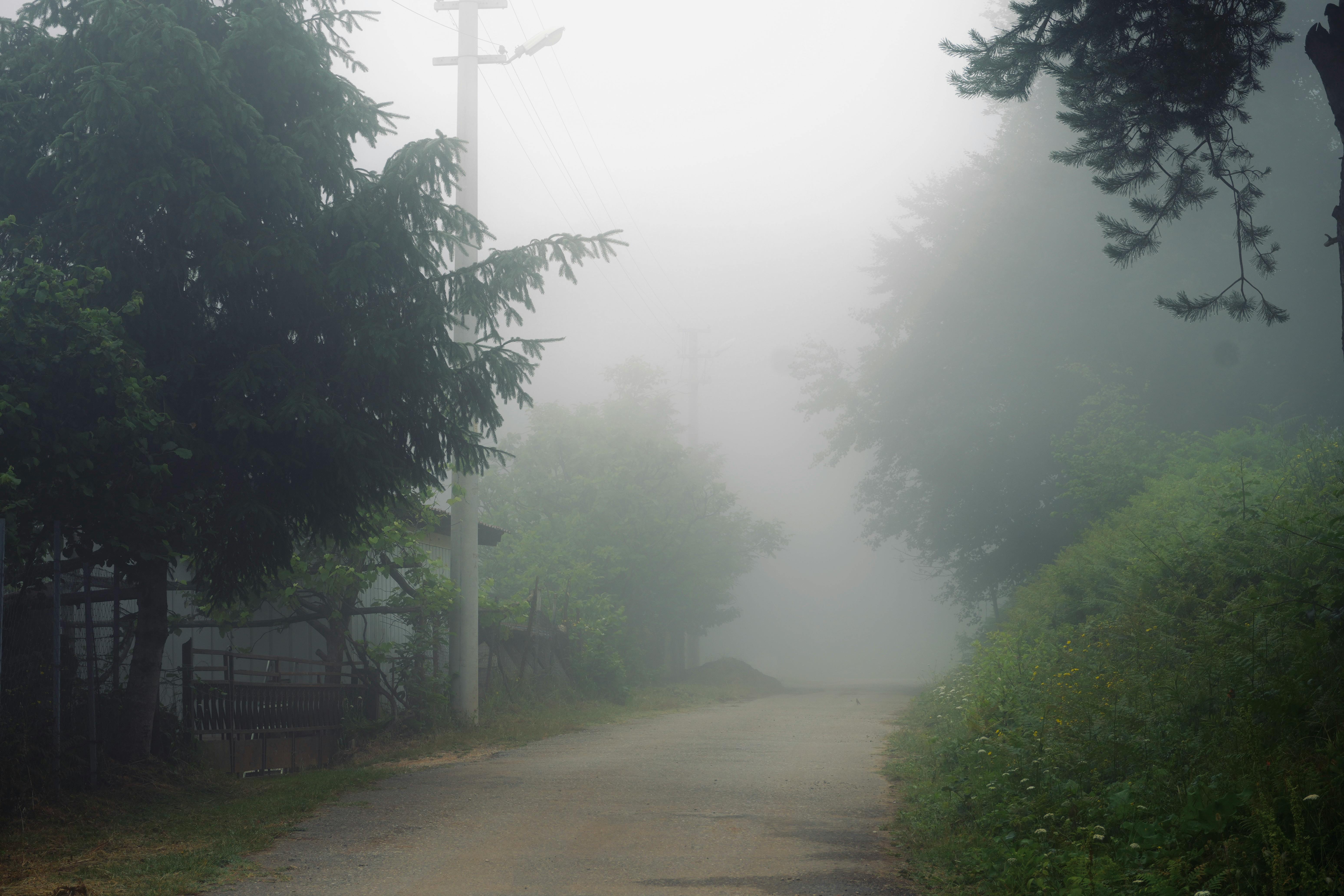 Bokep++Jepang+2020+Viral+ Photos, Download The BEST Free Bokep++Jepang+2020+Viral+ Stock Photos ...