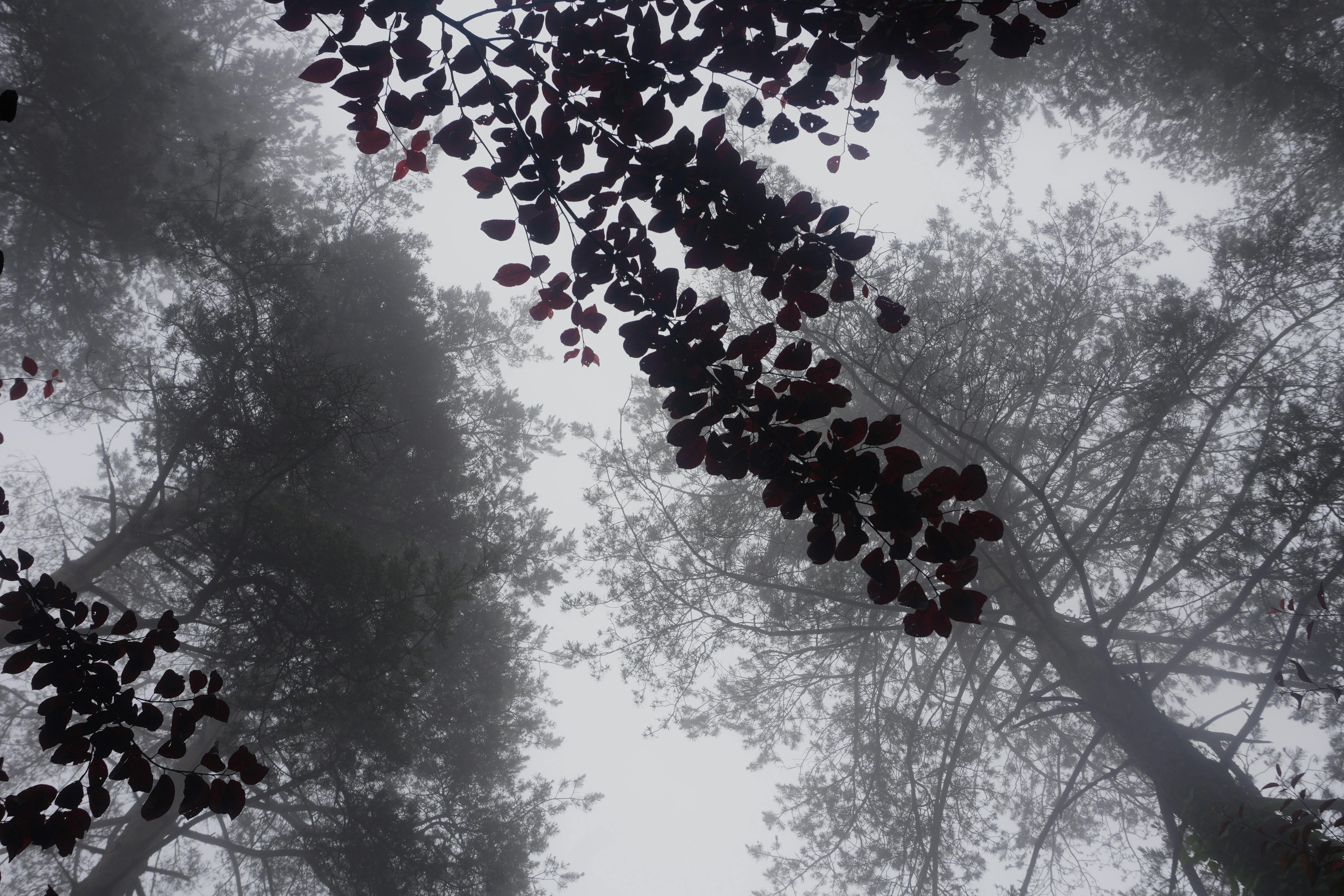 Désiré+Doué+4k Photos, Download The BEST Free Désiré+Doué+4k Stock ...