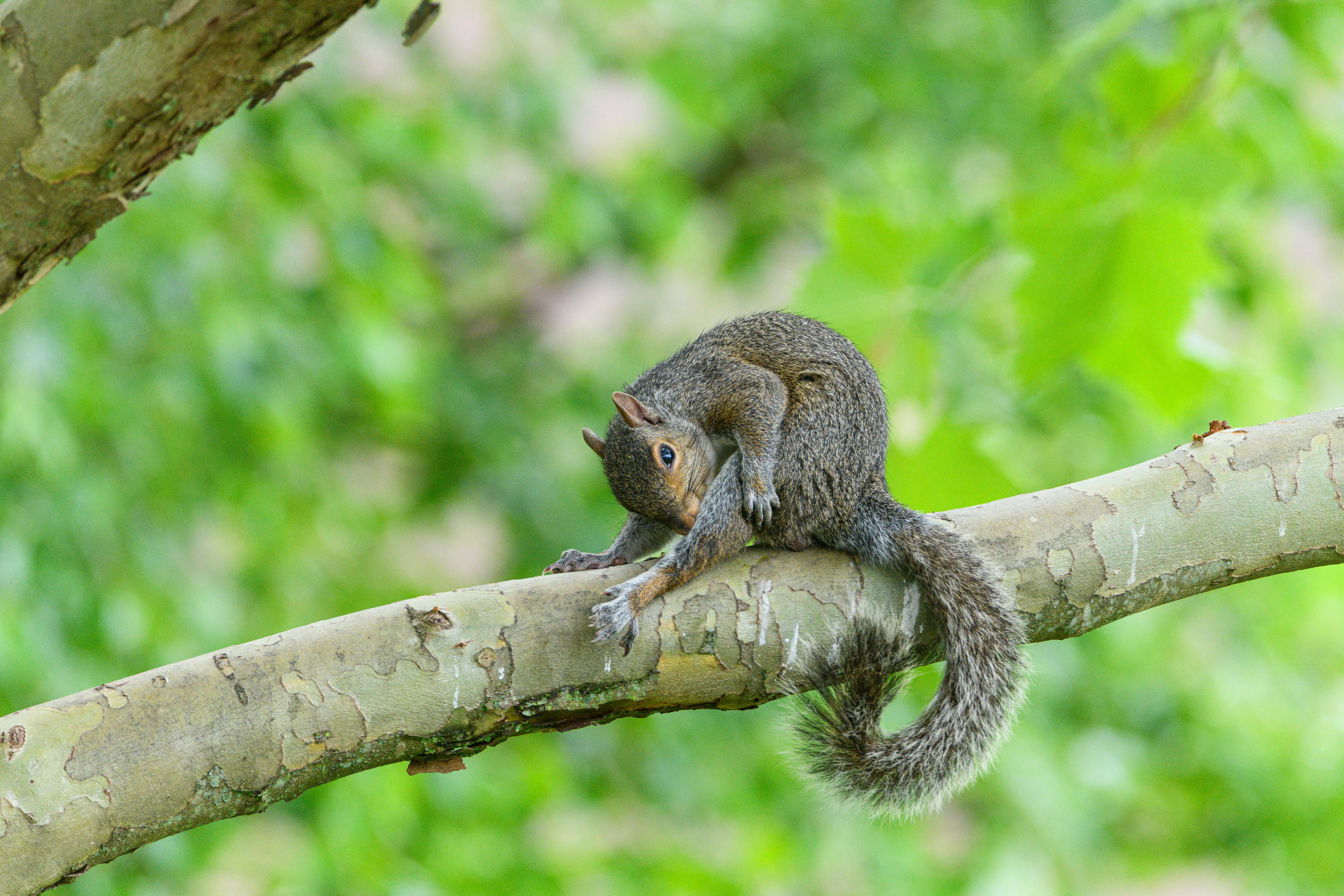 Twig Vpn Photos, Download The BEST Free Twig Vpn Stock Photos & HD Images