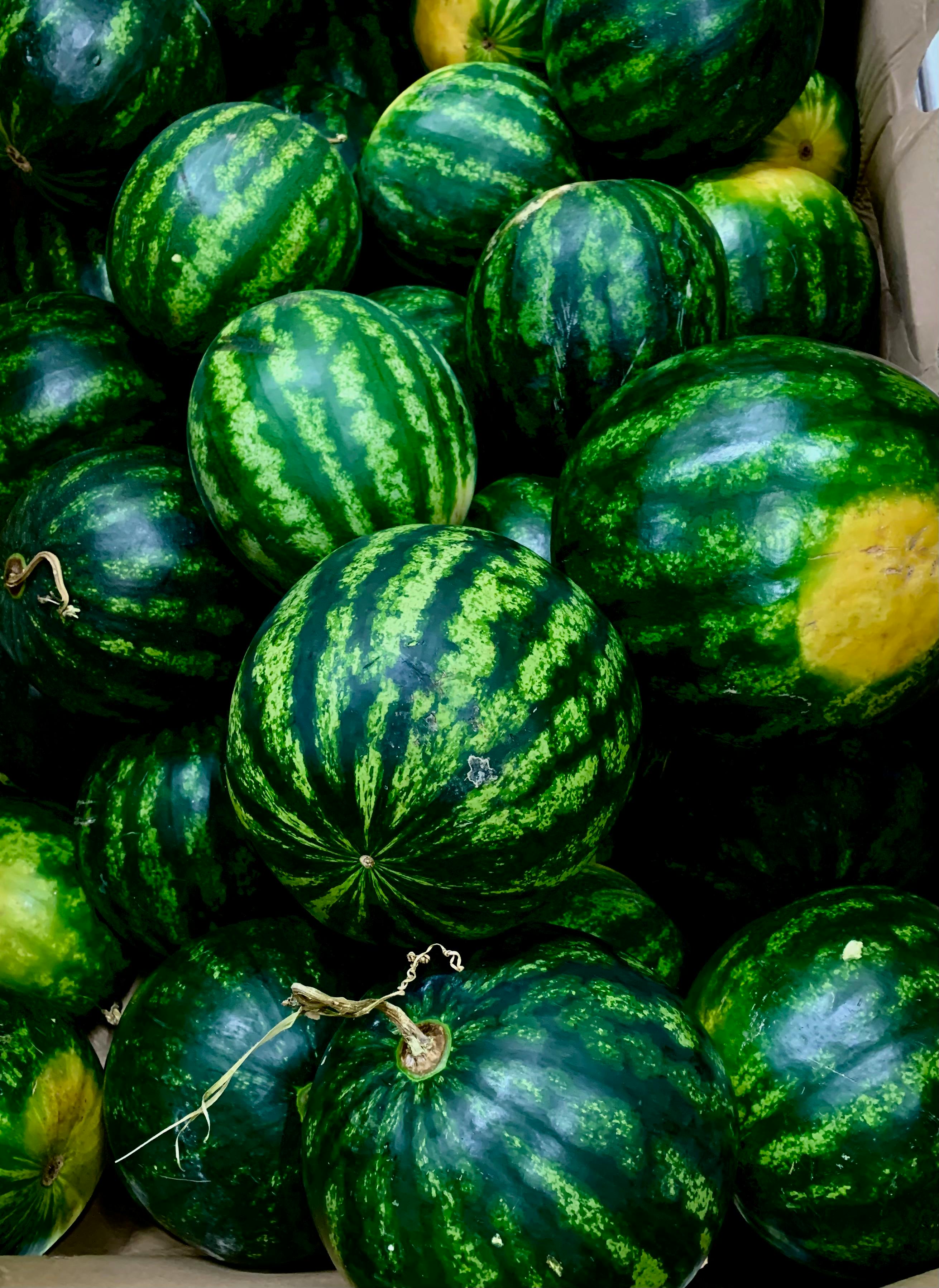 Fresh Watermelons in Market Display · Free Stock Photo