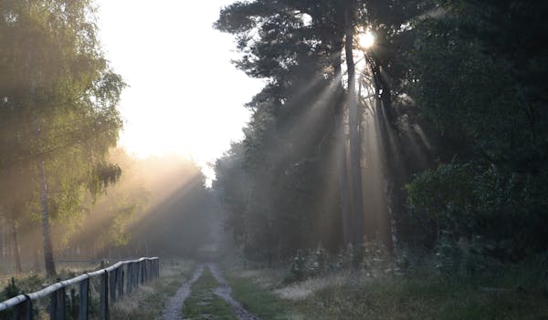 Sun Rays Photos, Download The BEST Free Sun Rays Stock Photos & HD Images