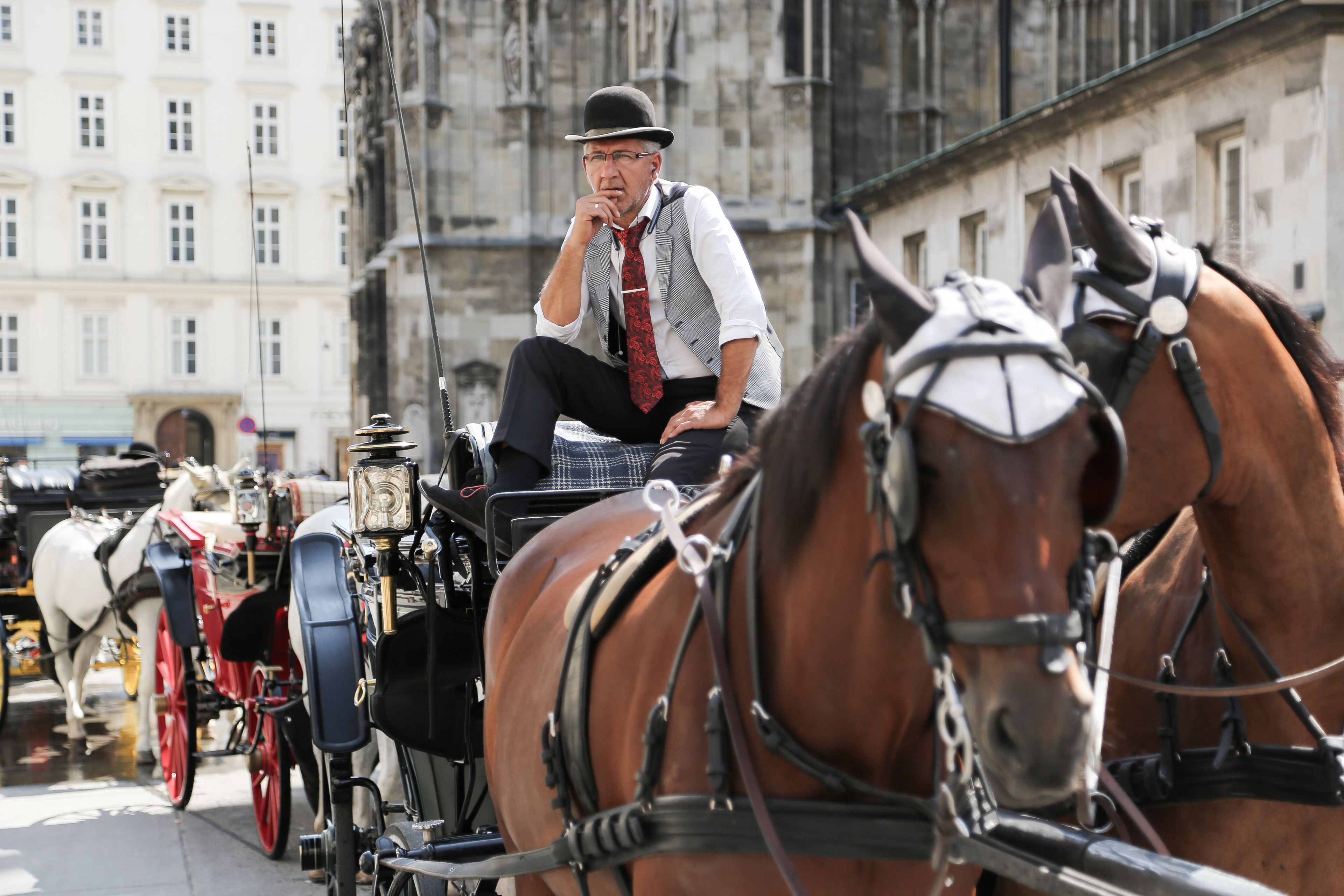 Horse-drawn Carriage and Driver in Historical European City · Free ...