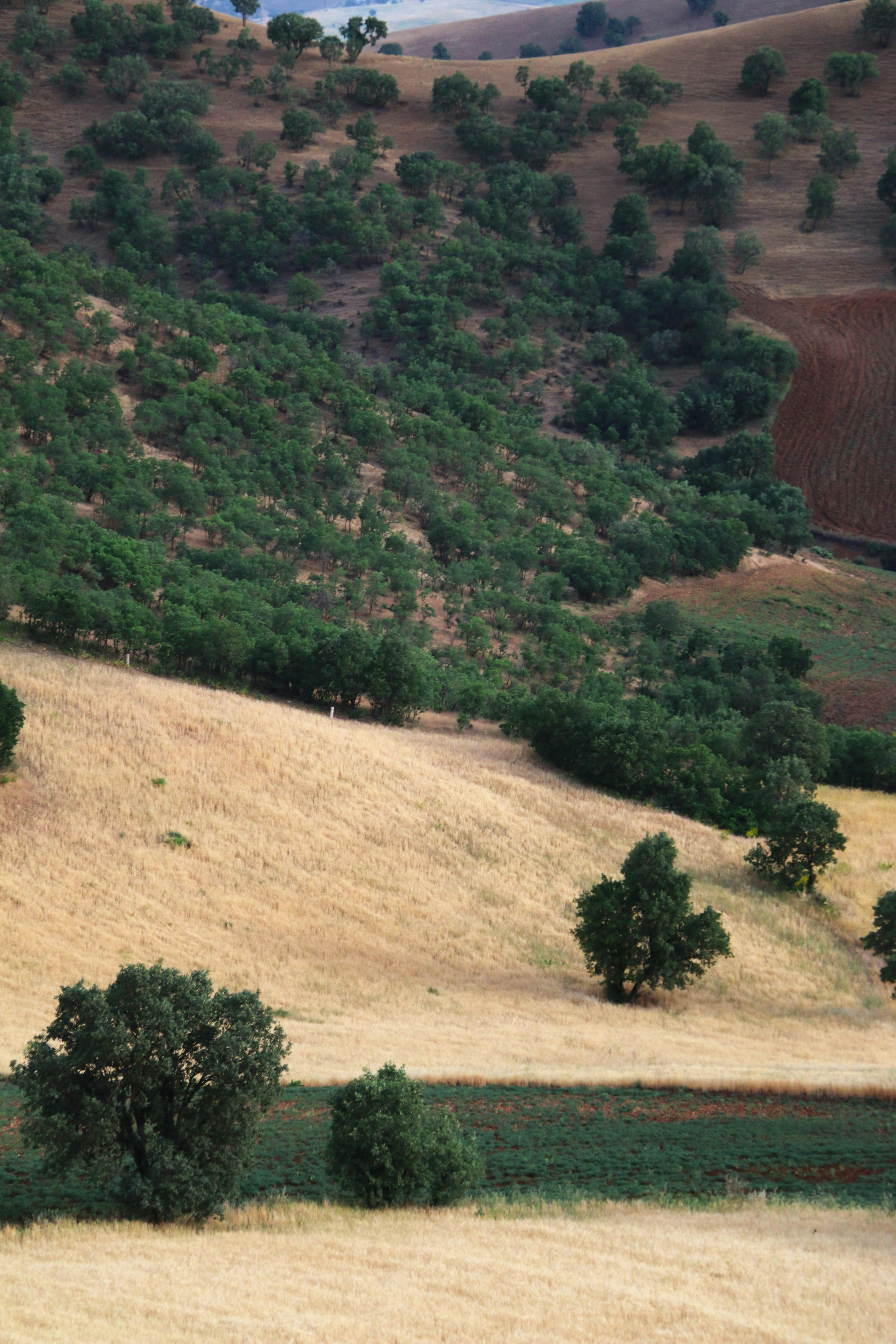 Scenic Hillside Landscape in Kermanshah, Iran · Free Stock Photo