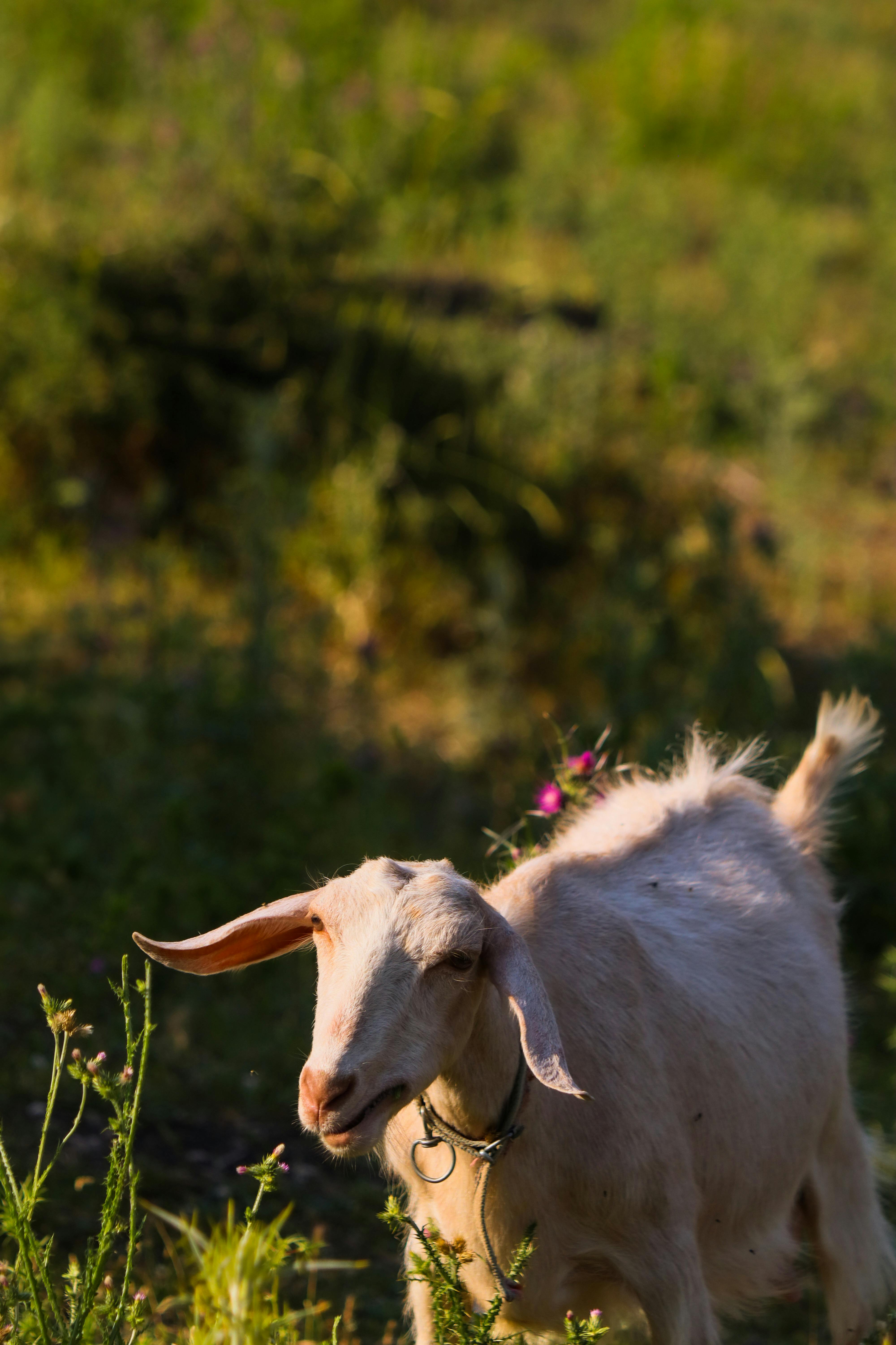 Curiosity Photos, Download The BEST Free Curiosity Stock Photos & HD Images