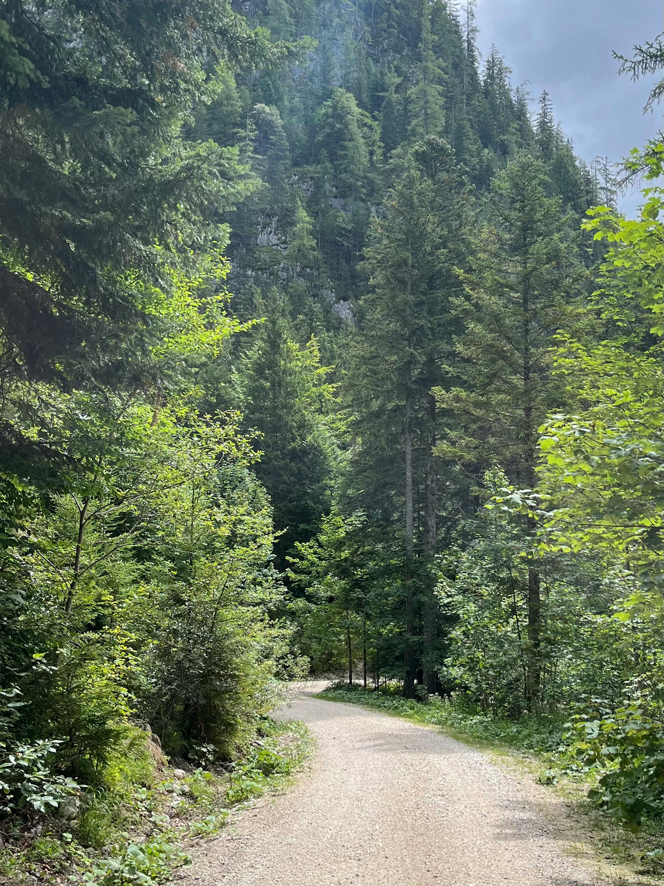 Healthy Living Photos, Download The BEST Free Healthy Living Stock ...