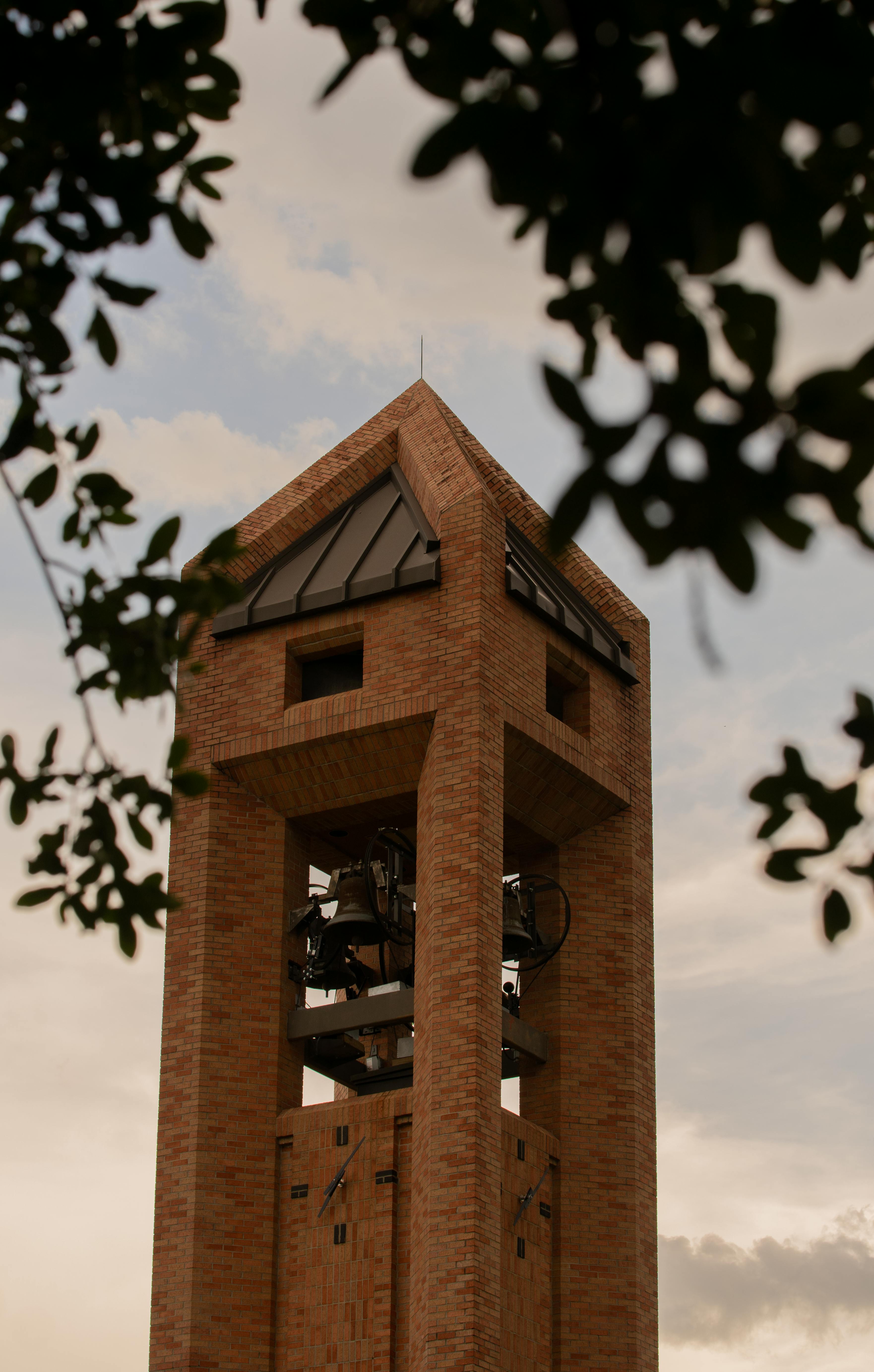 Brick Bell Tower amidst Leaves at Dusk · Free Stock Photo