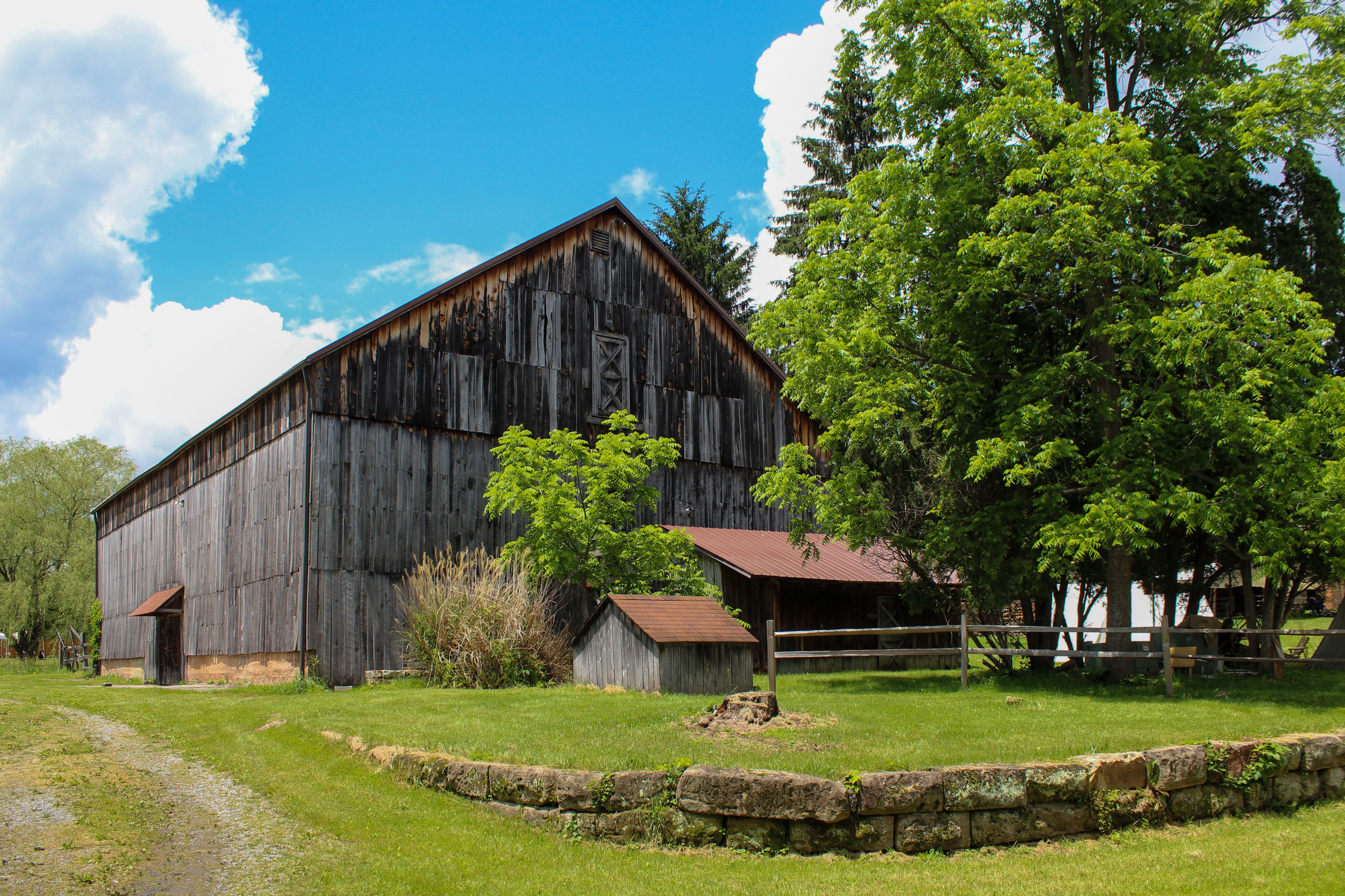 Rustic Wooden Barn in Lush Summer Landscape · Free Stock Photo