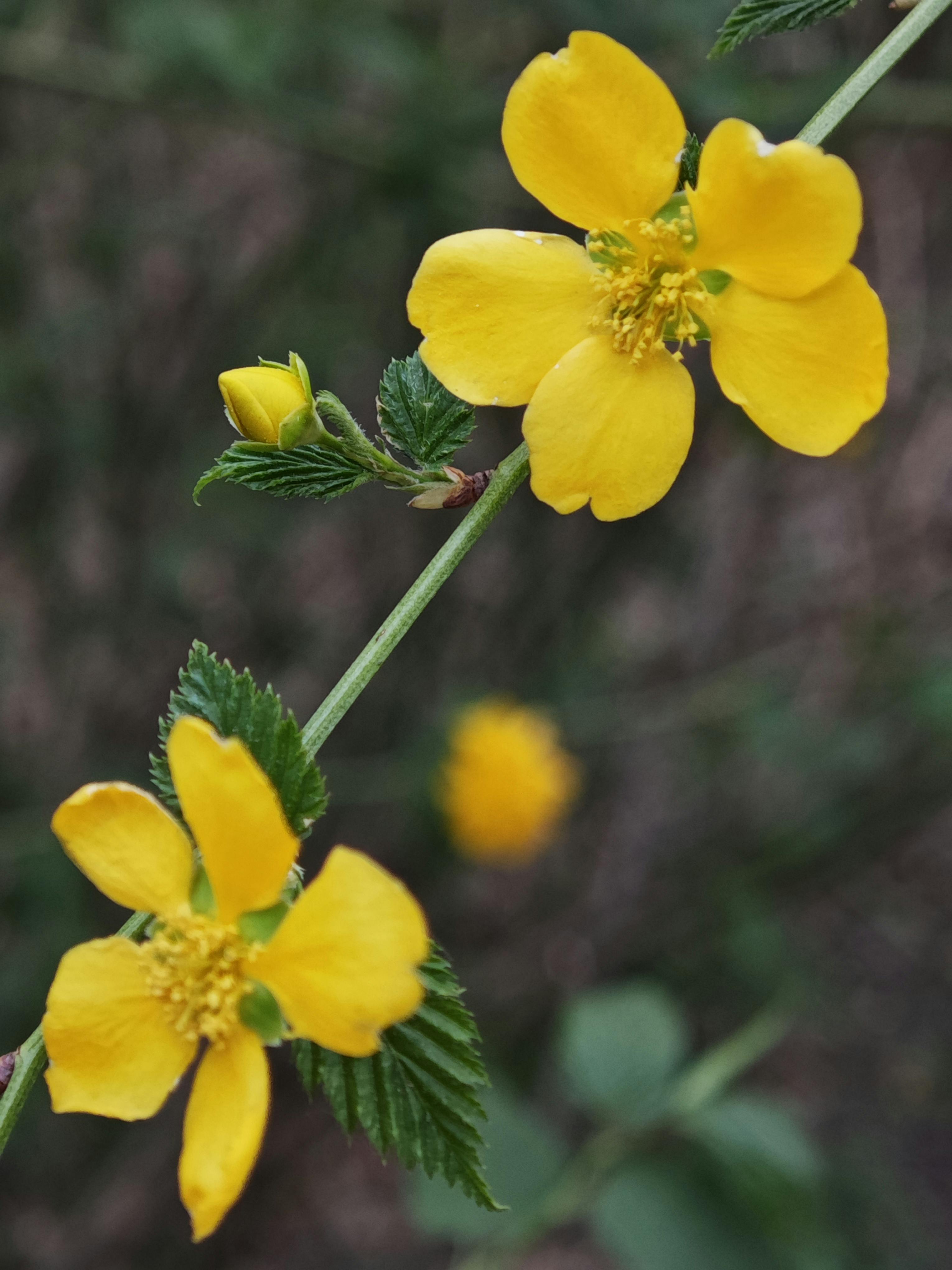 Easyworship Background Photos, Download The BEST Free Easyworship ...