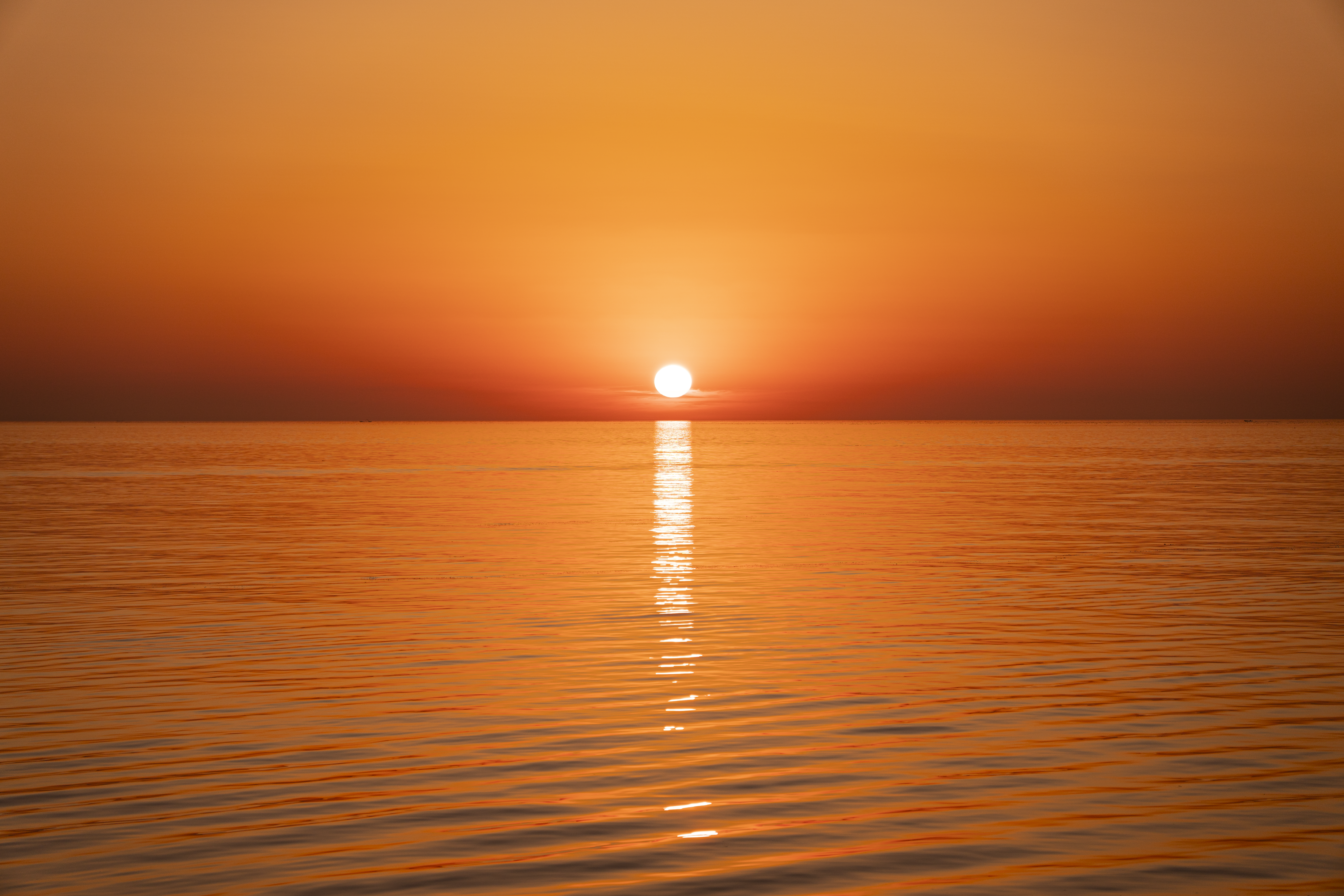 Photo For Tumbnail Photos, Download The BEST Free Photo For Tumbnail ...