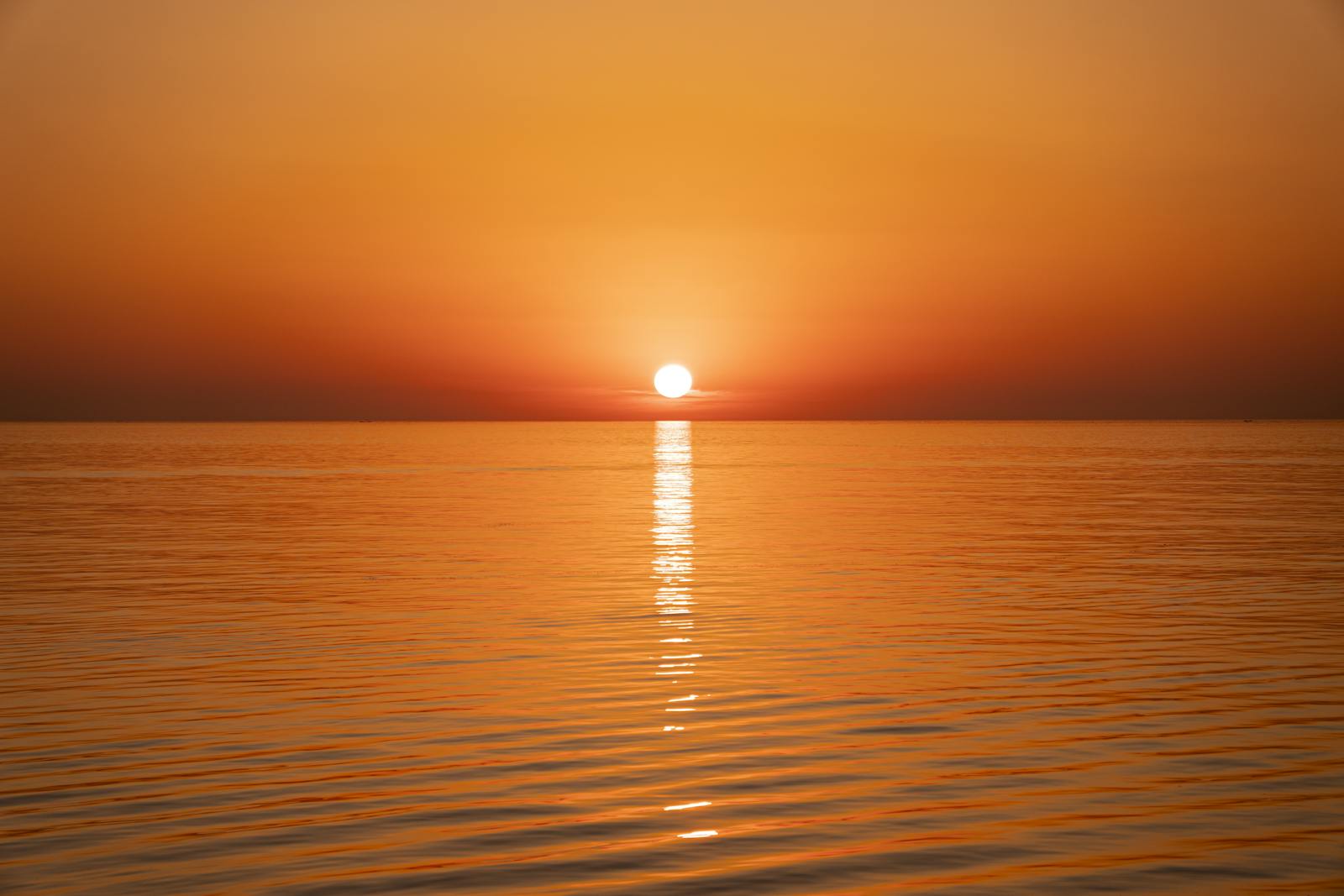 Orange Color Photos, Download The BEST Free Orange Color Stock Photos ...