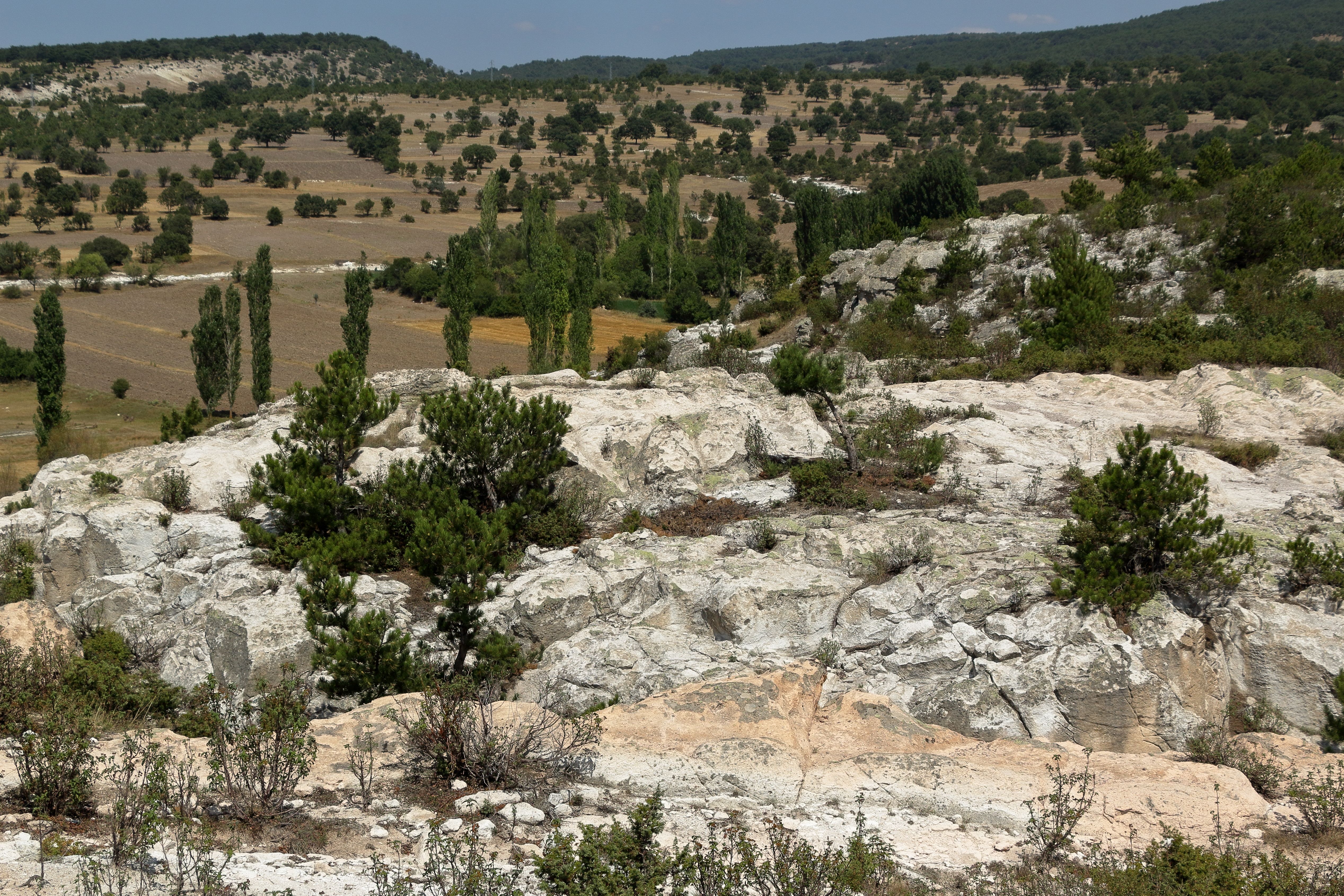 Scenic Rocky Landscape with Sparse Vegetation · Free Stock Photo