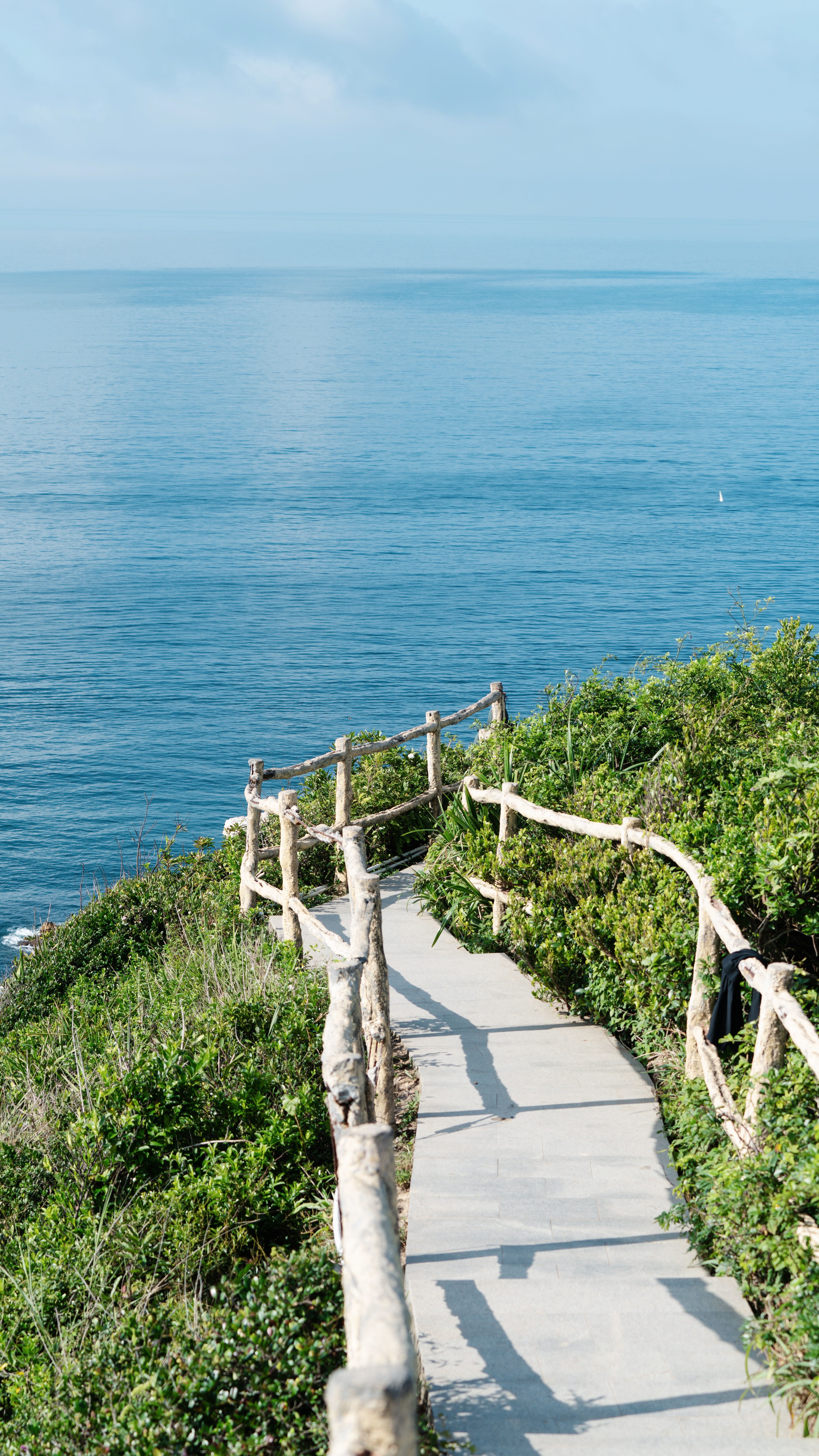 Scenic Ocean View Pathway Along the Cliffside · Free Stock Photo
