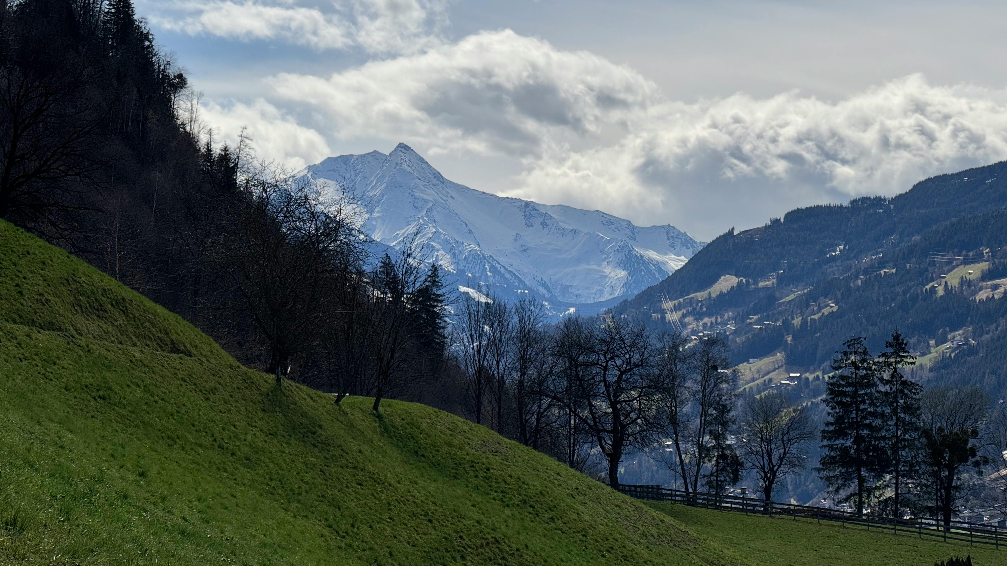 Forests Photos, Download The BEST Free Forests Stock Photos & HD Images