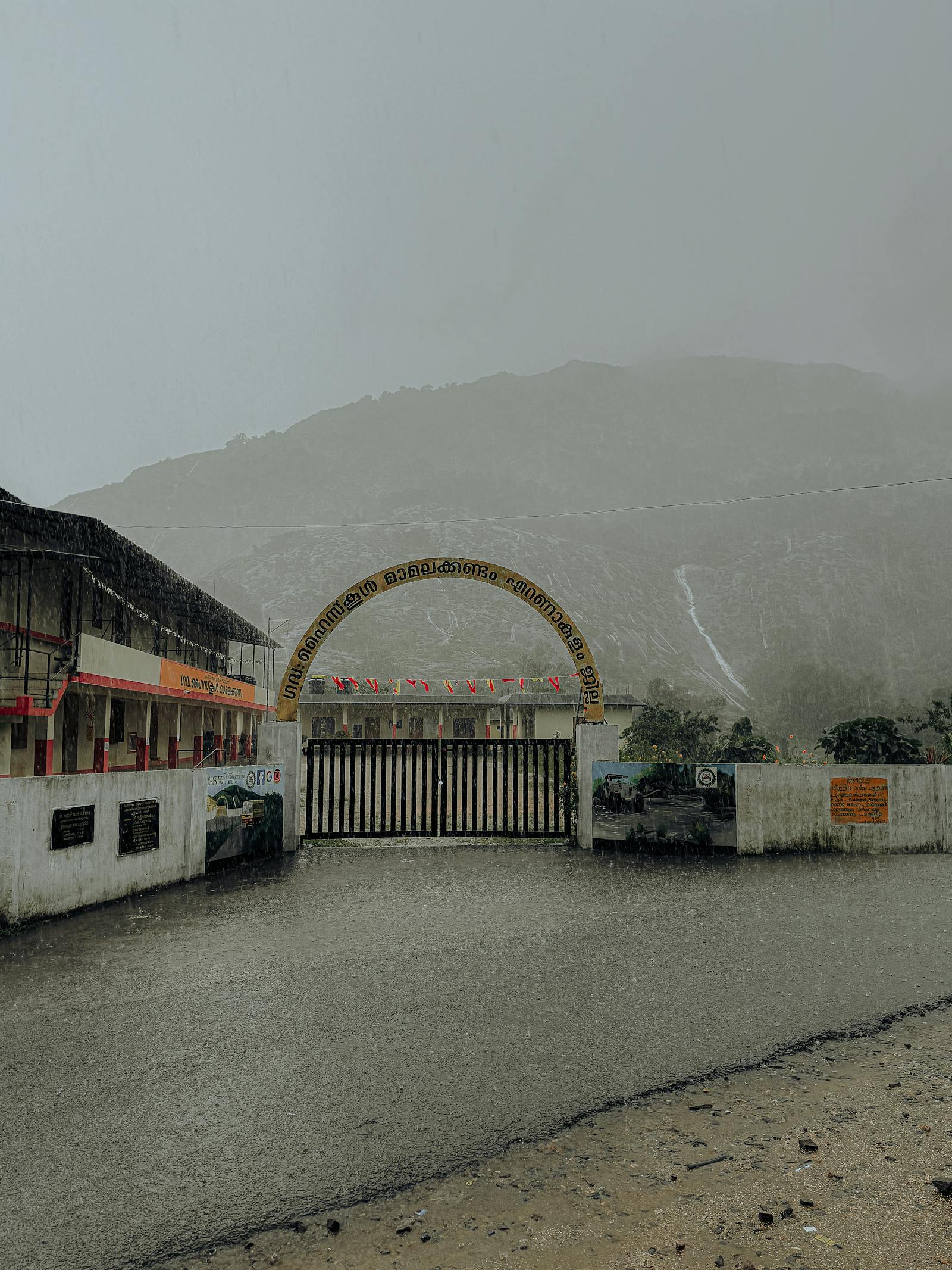 Rain Nature Photos, Download The BEST Free Rain Nature Stock Photos ...