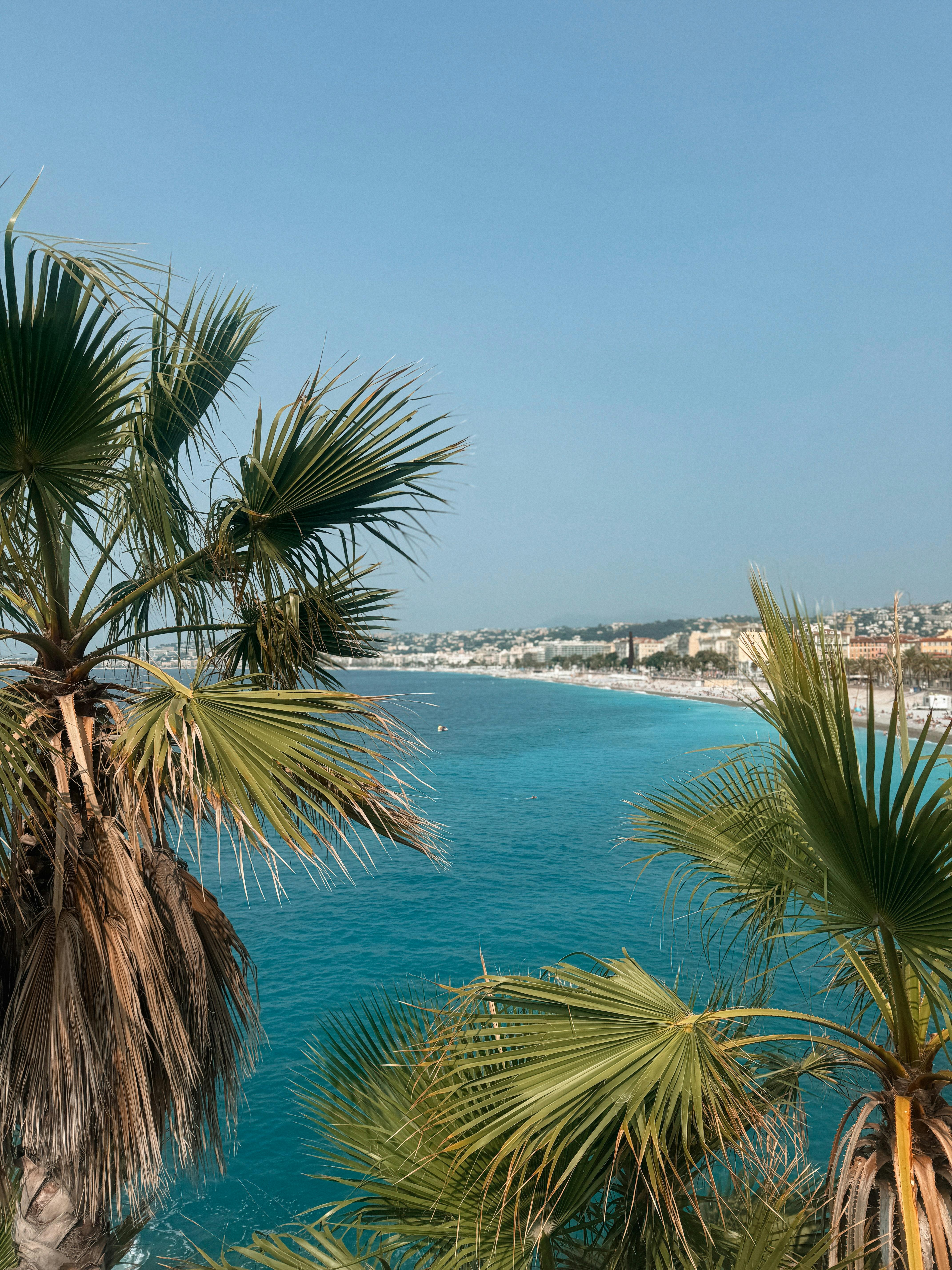 Scenic View of Nice, French Riviera Coastline · Free Stock Photo