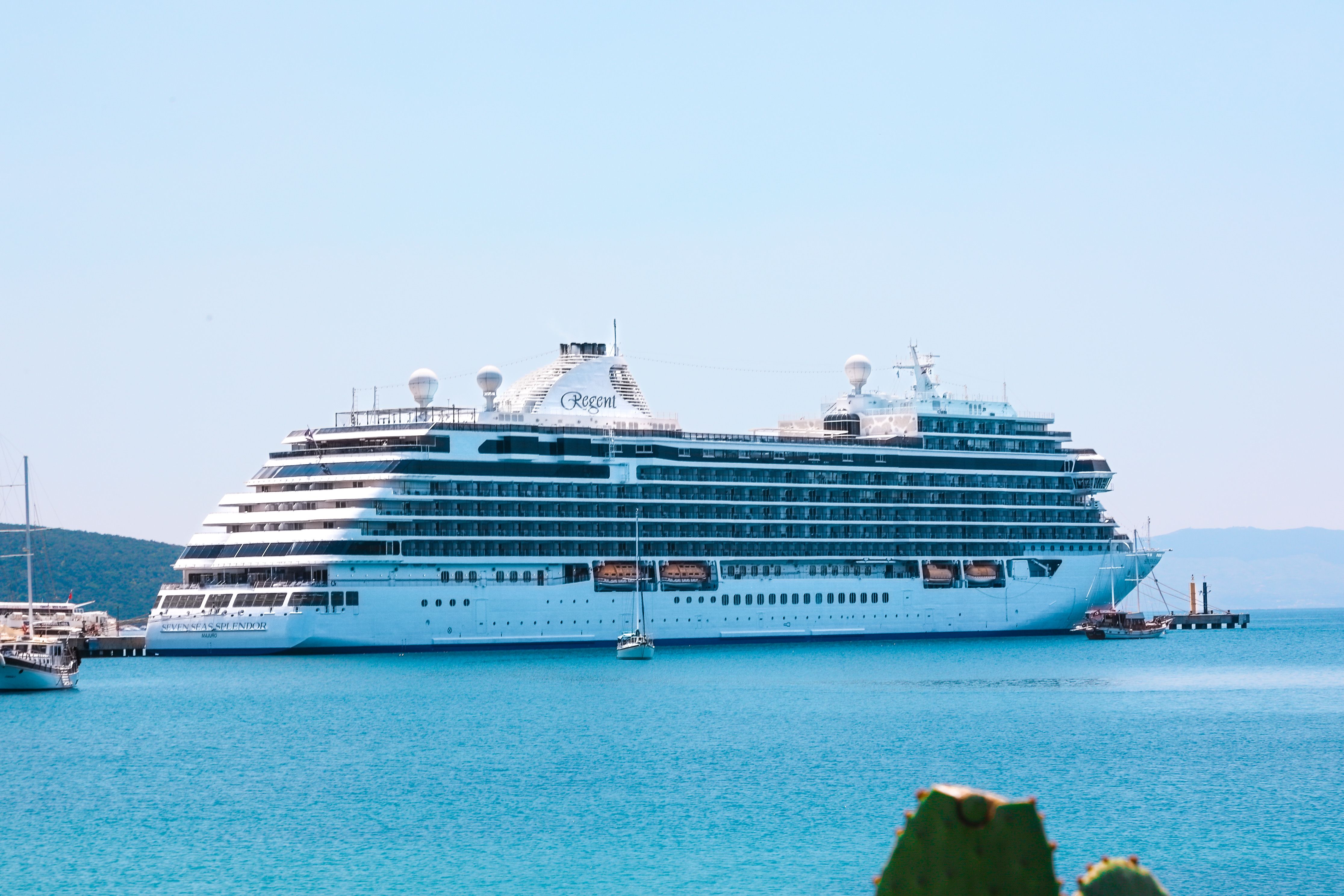 Luxury Cruise Ship Docked at Scenic Port · Free Stock Photo