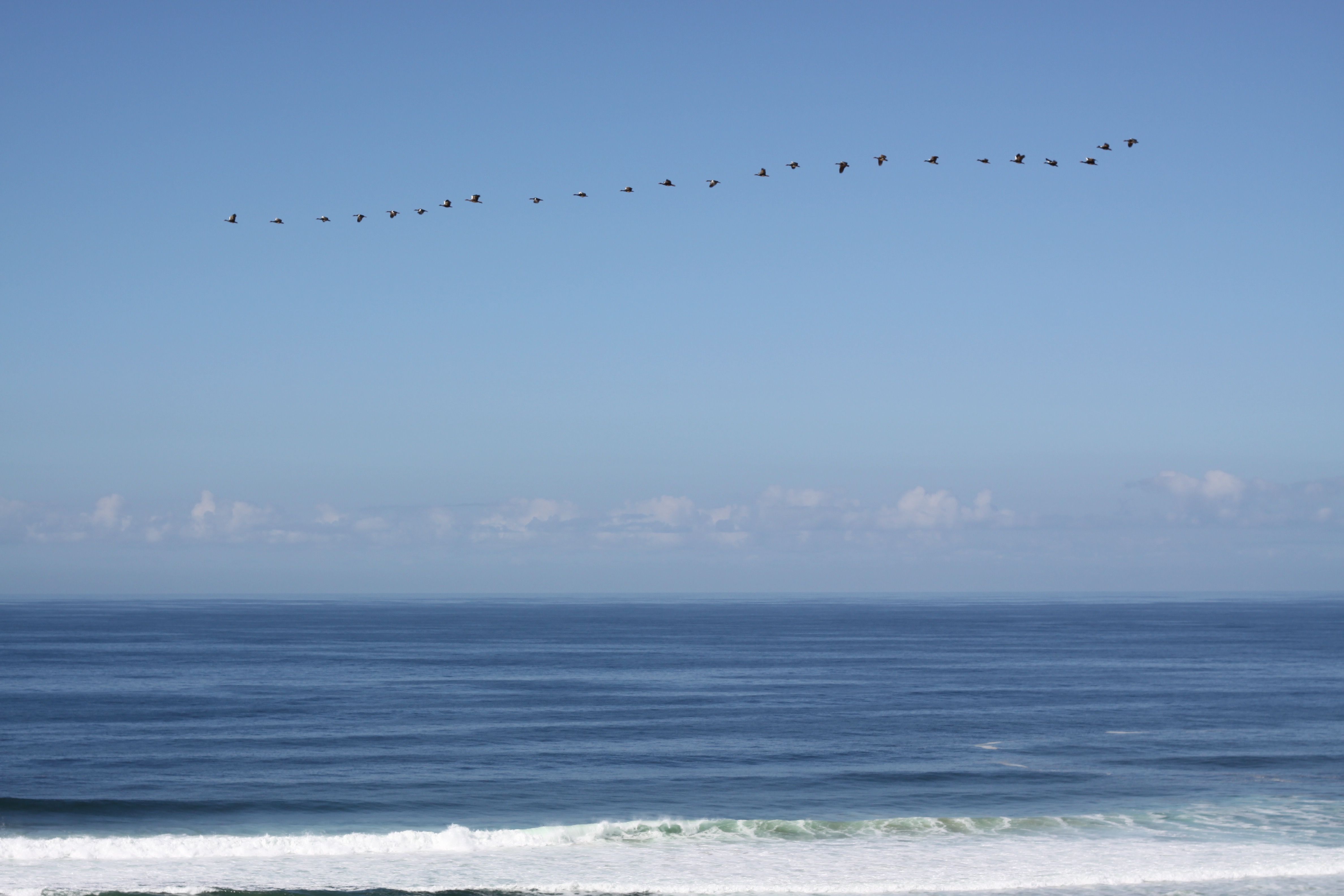 Formation Scientifique Photos, Download The BEST Free Formation ...