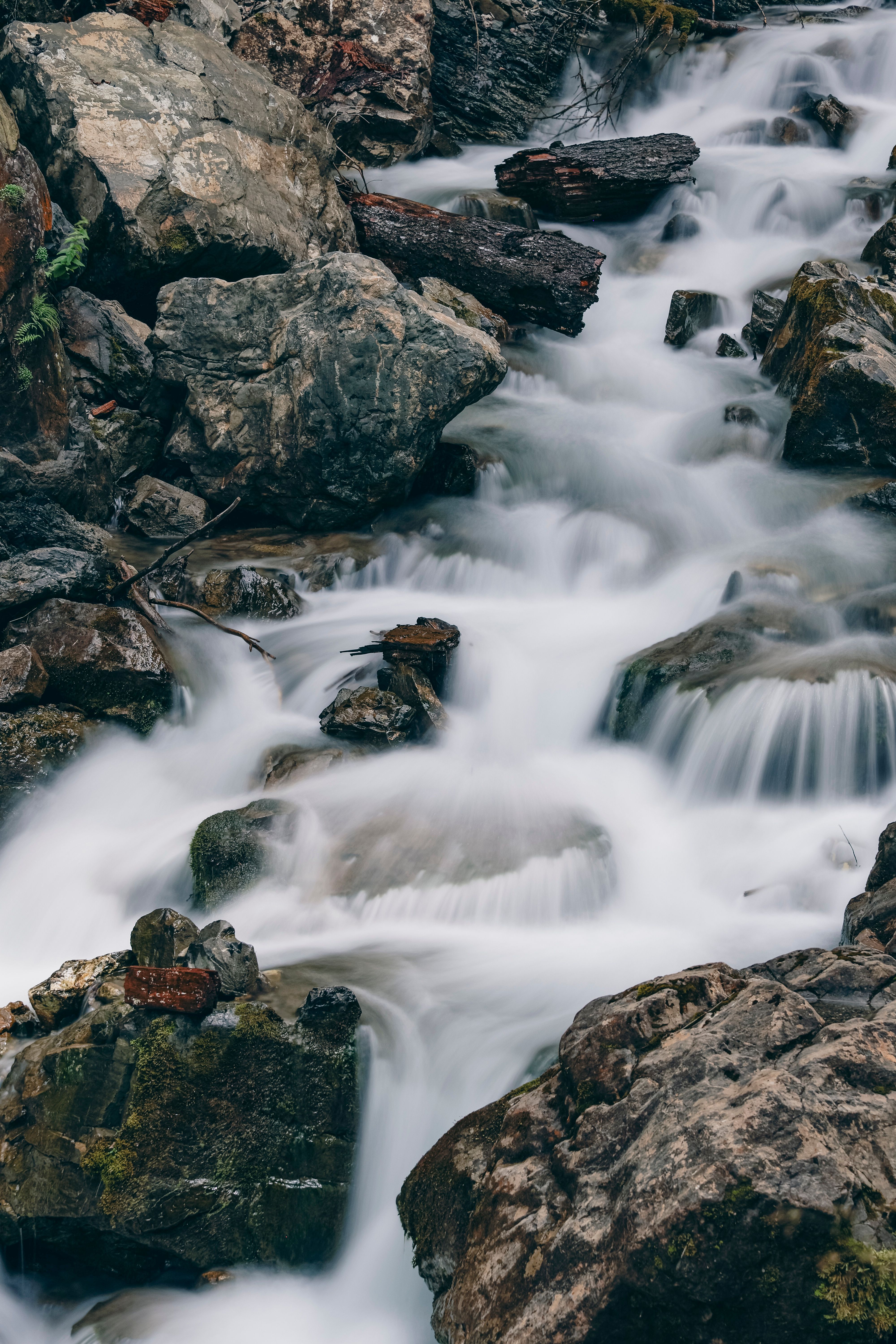 Rushing Stream in Allgäu, Oberstdorf, Germany · Free Stock Photo