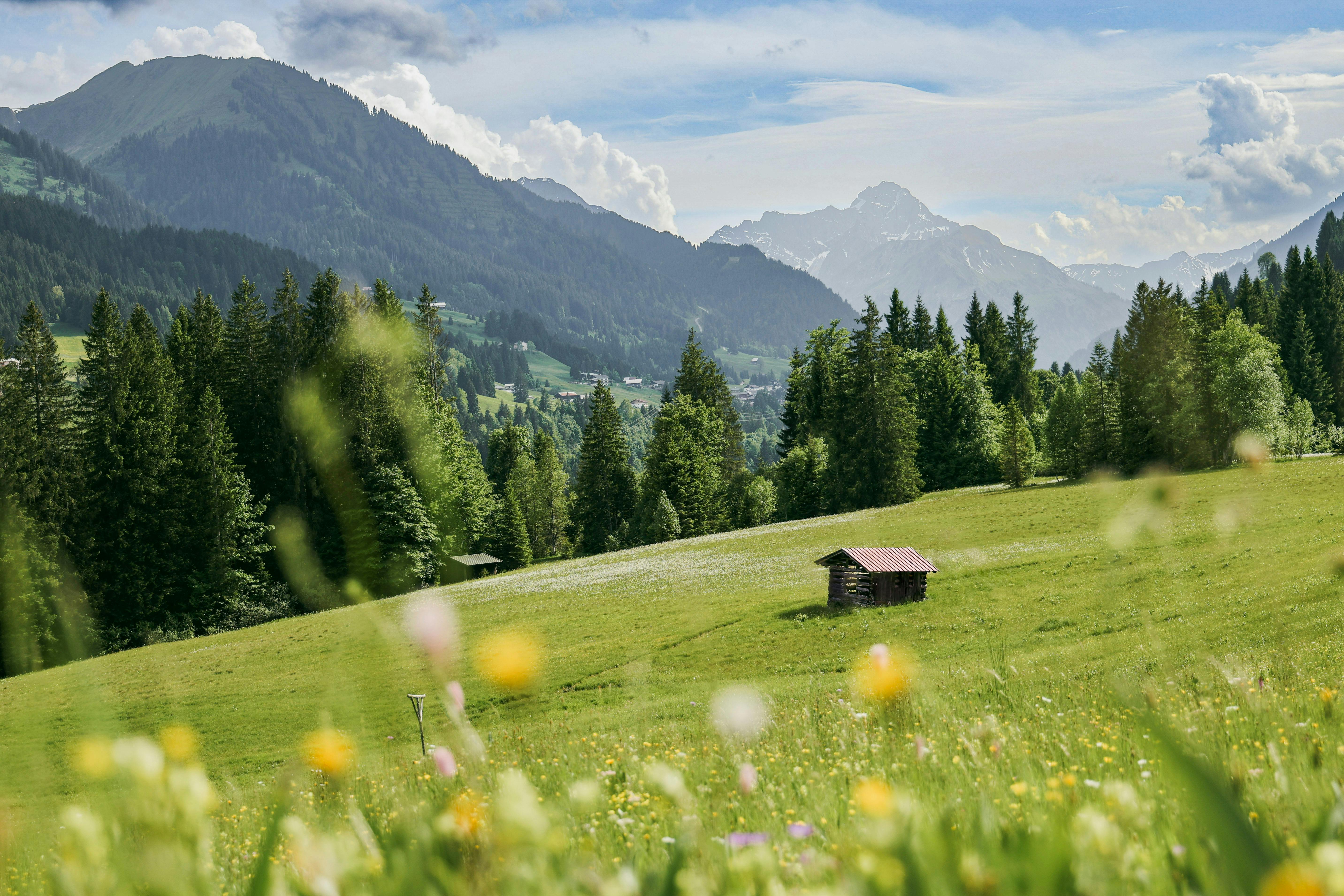Pemandangan Pegunungan Alpen Yang Indah Di Bavaria, Jerman · Foto Stok ...