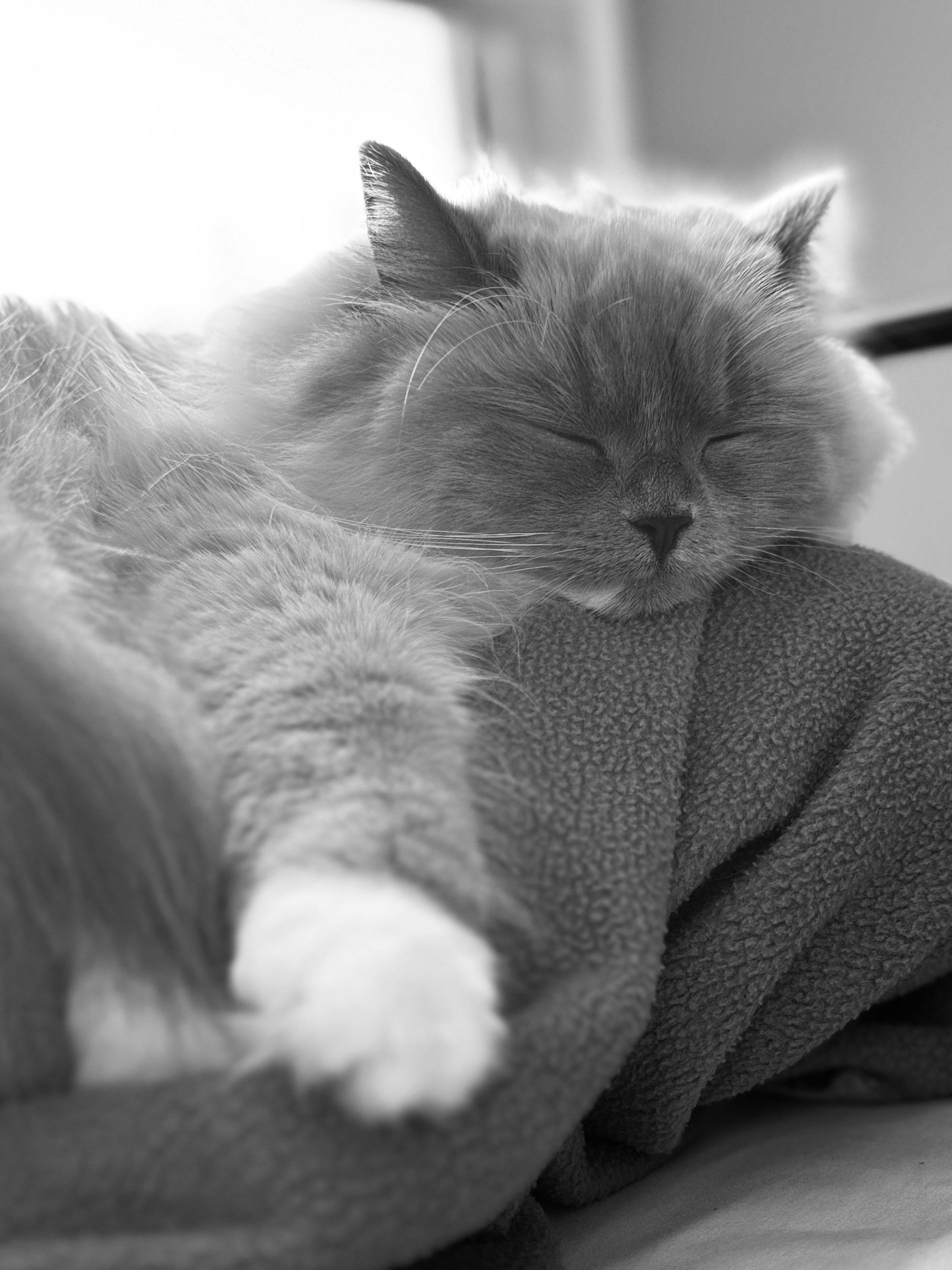 Jason Pittman - Photography