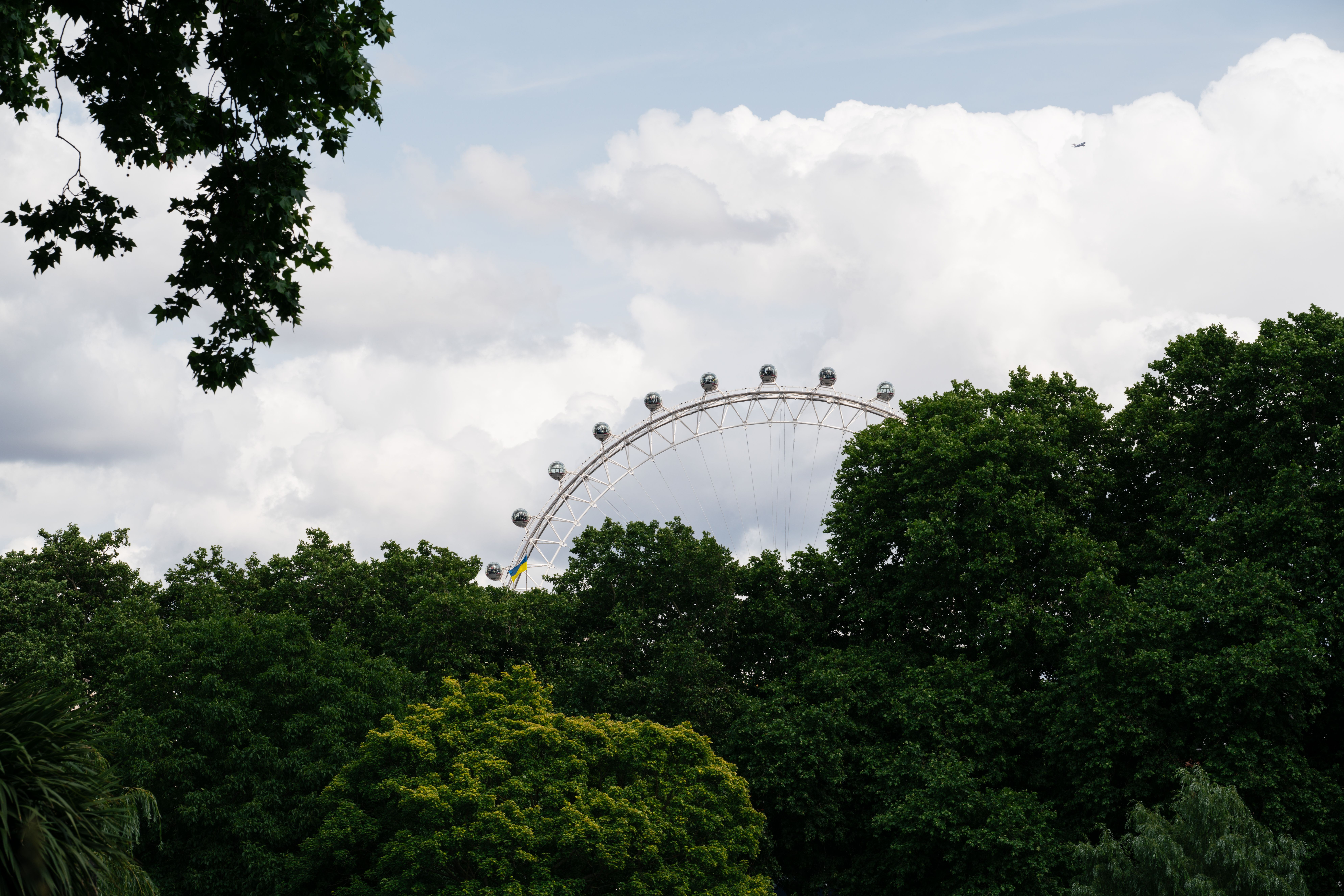 Scenic View of London Eye Behind Lush Trees · Free Stock Photo