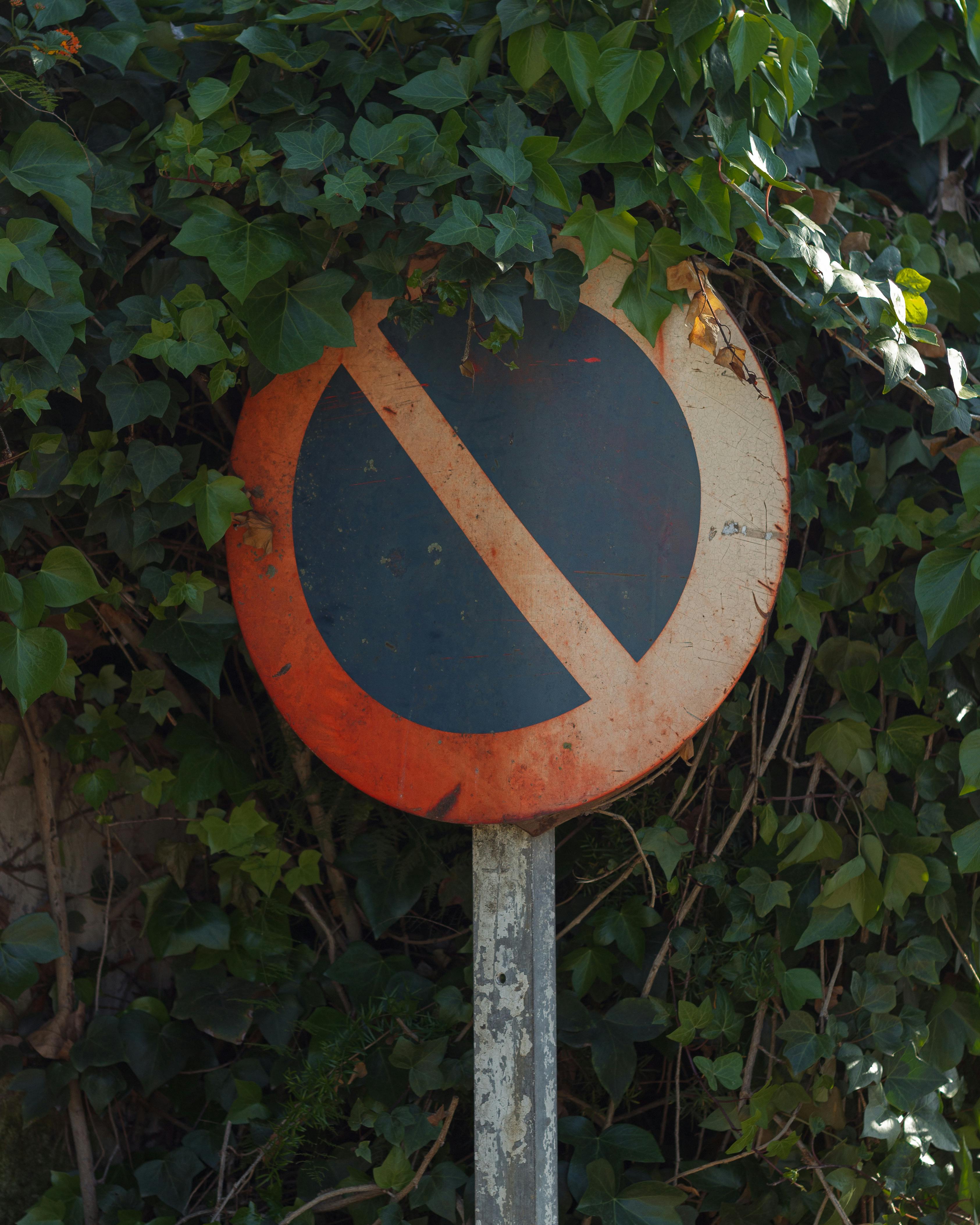 Overgrown No Parking Sign in Urban Setting · Free Stock Photo