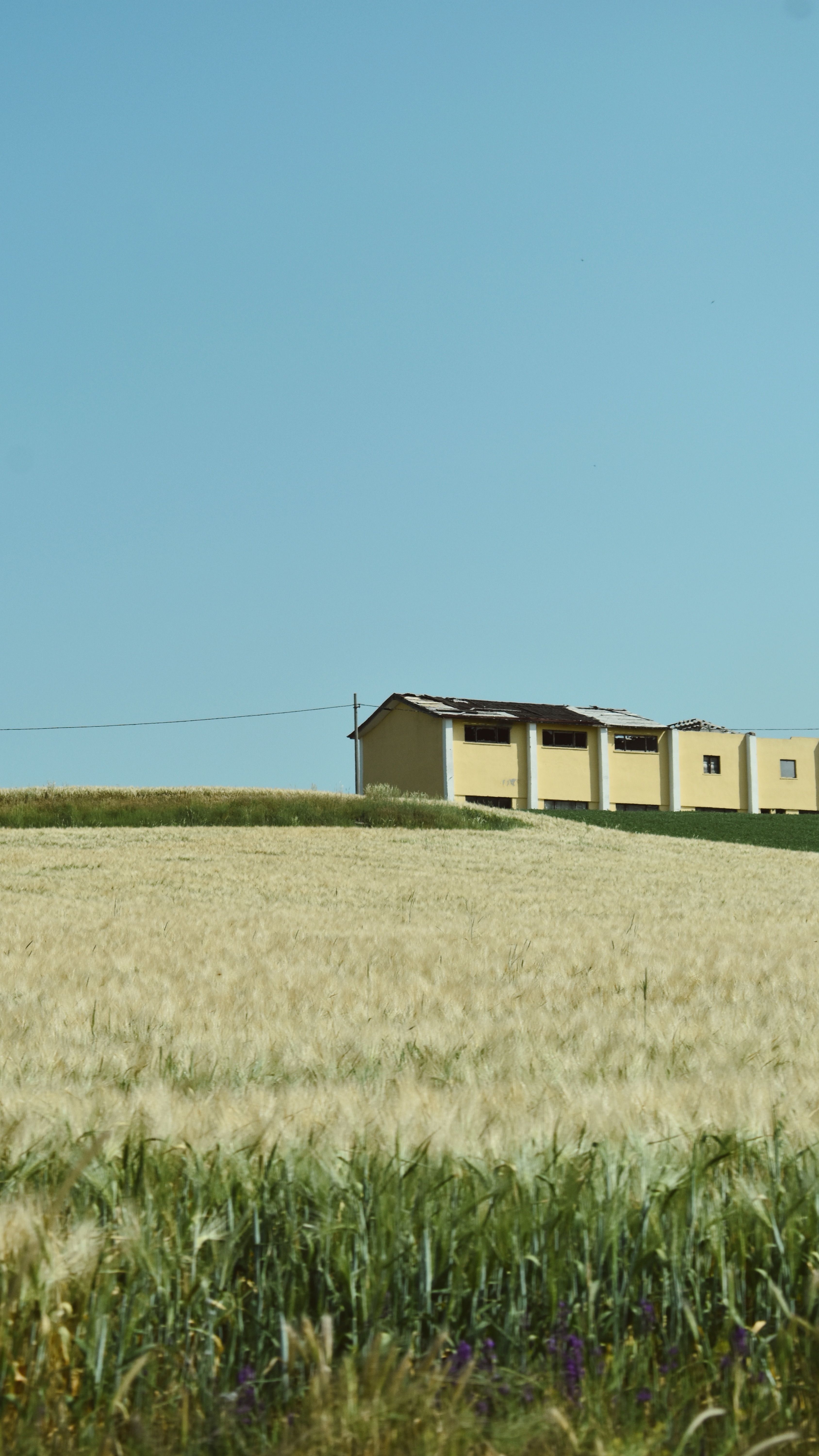 Scenic Rural Landscape with Wheat Field and Building · Free Stock Photo