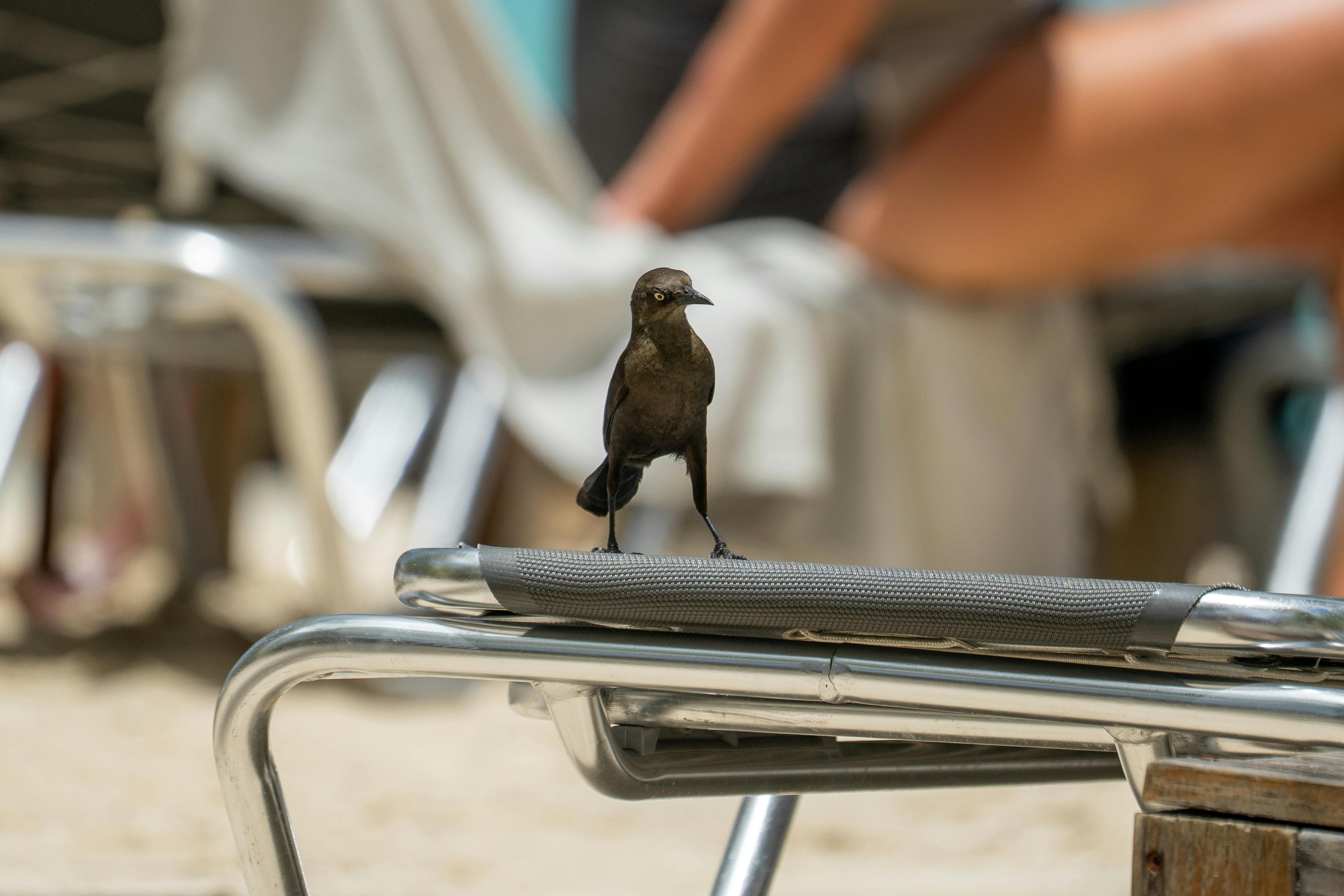 Wijs (Wise) - Photography