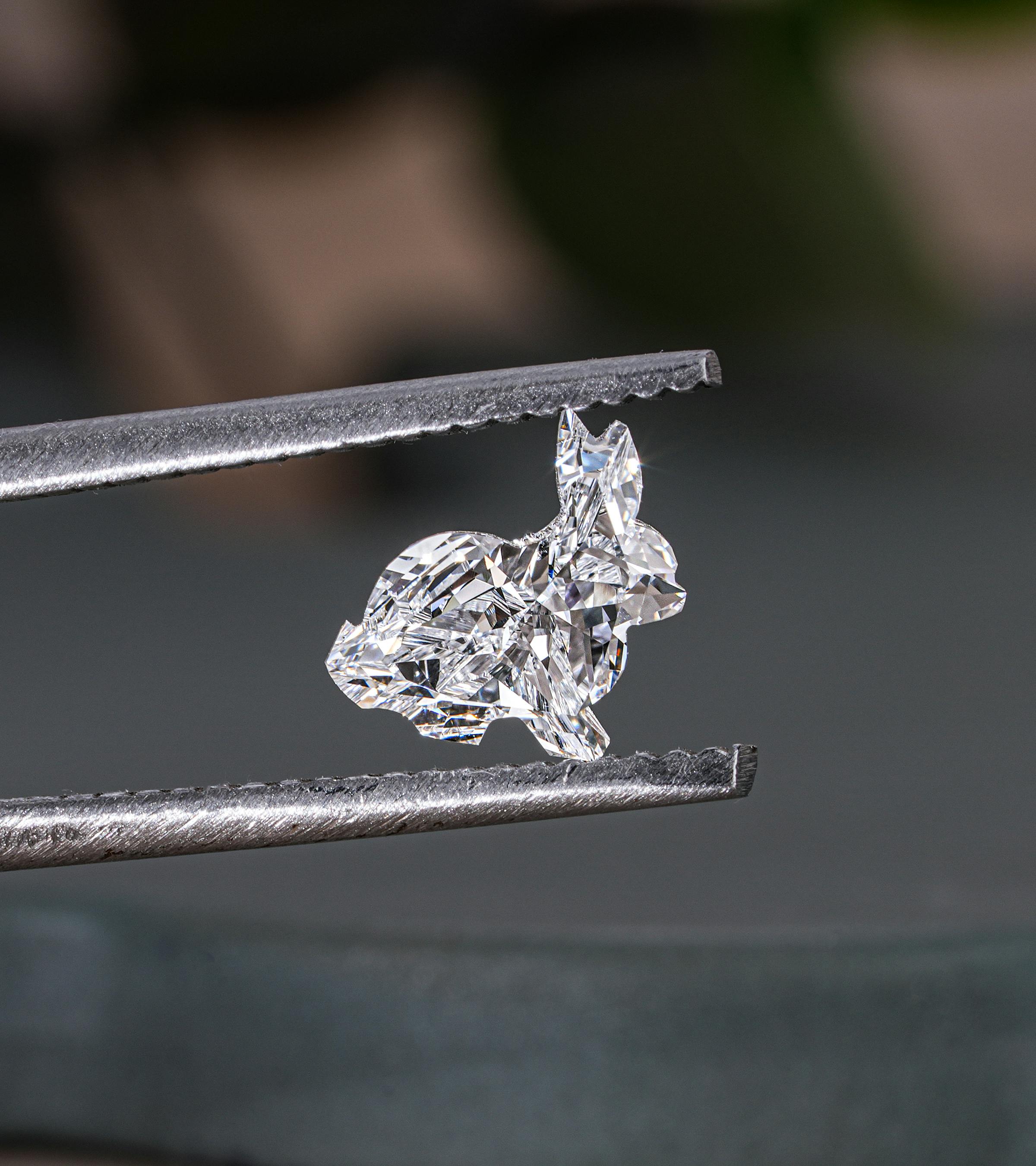 Exquisite Rabbit Shaped Diamond in Surat · Free Stock Photo