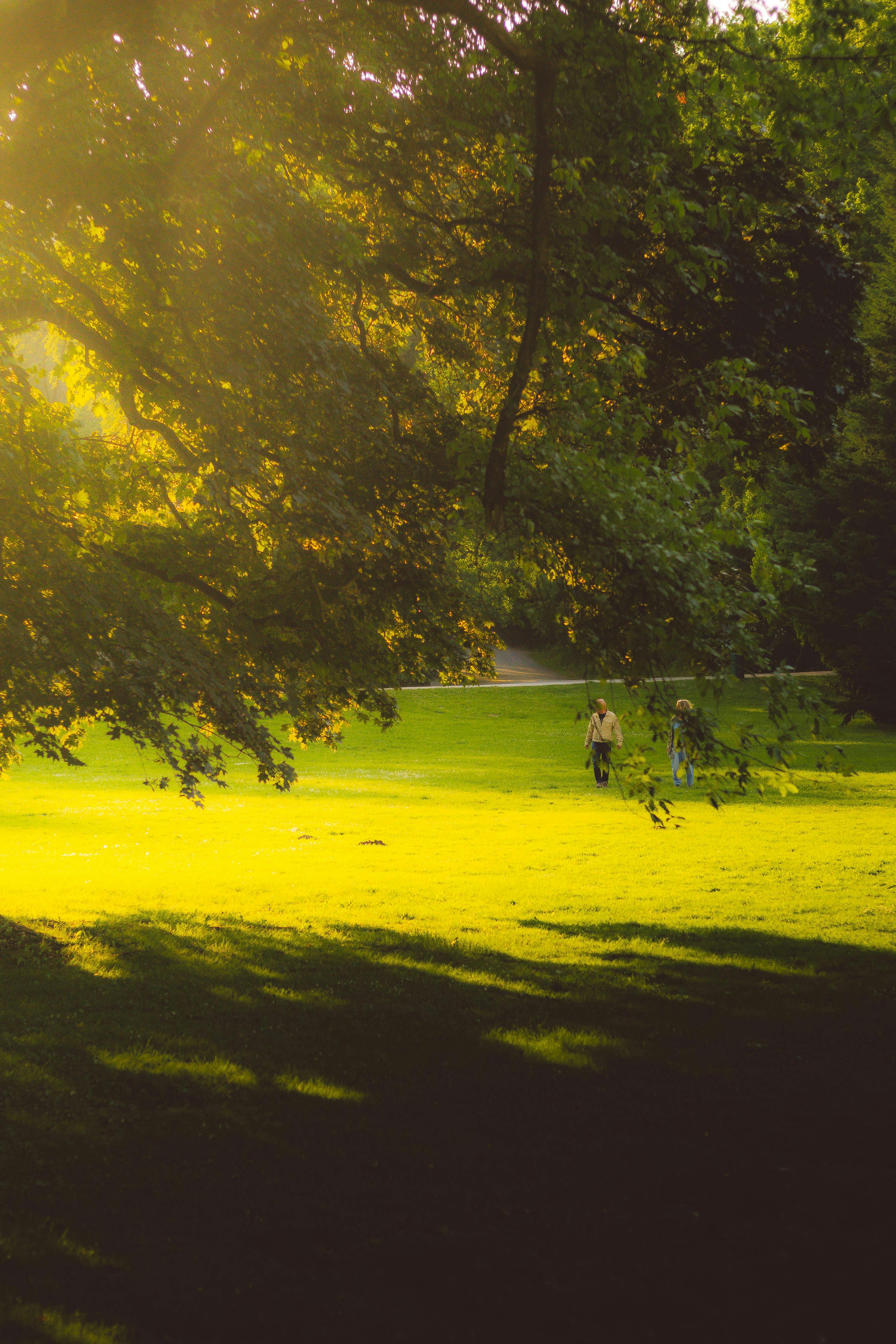 Sunny Autumn Wallpaper Photos, Download The BEST Free Sunny Autumn ...