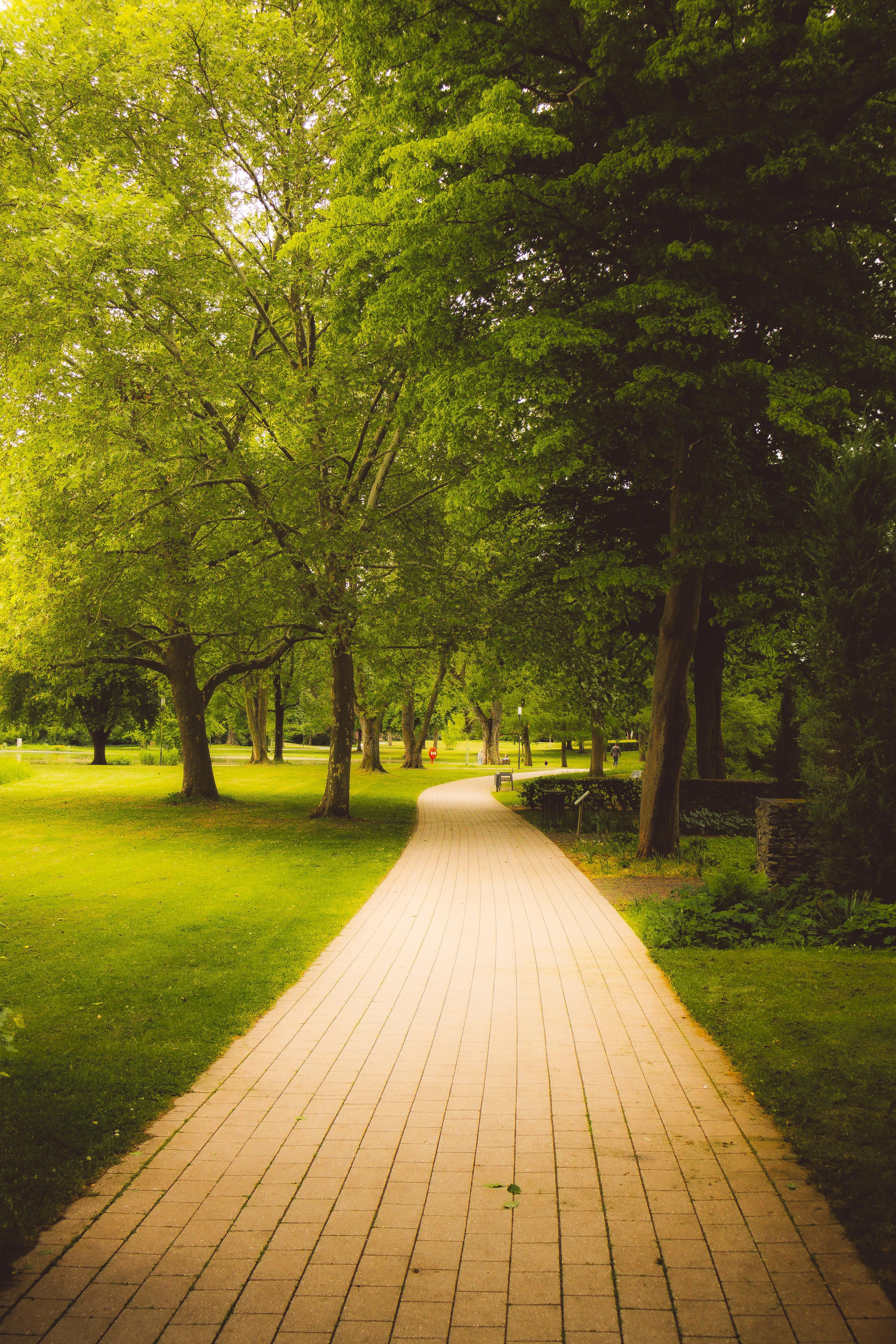 Autumn Pathway Wallpaper Photos, Download The BEST Free Autumn Pathway ...