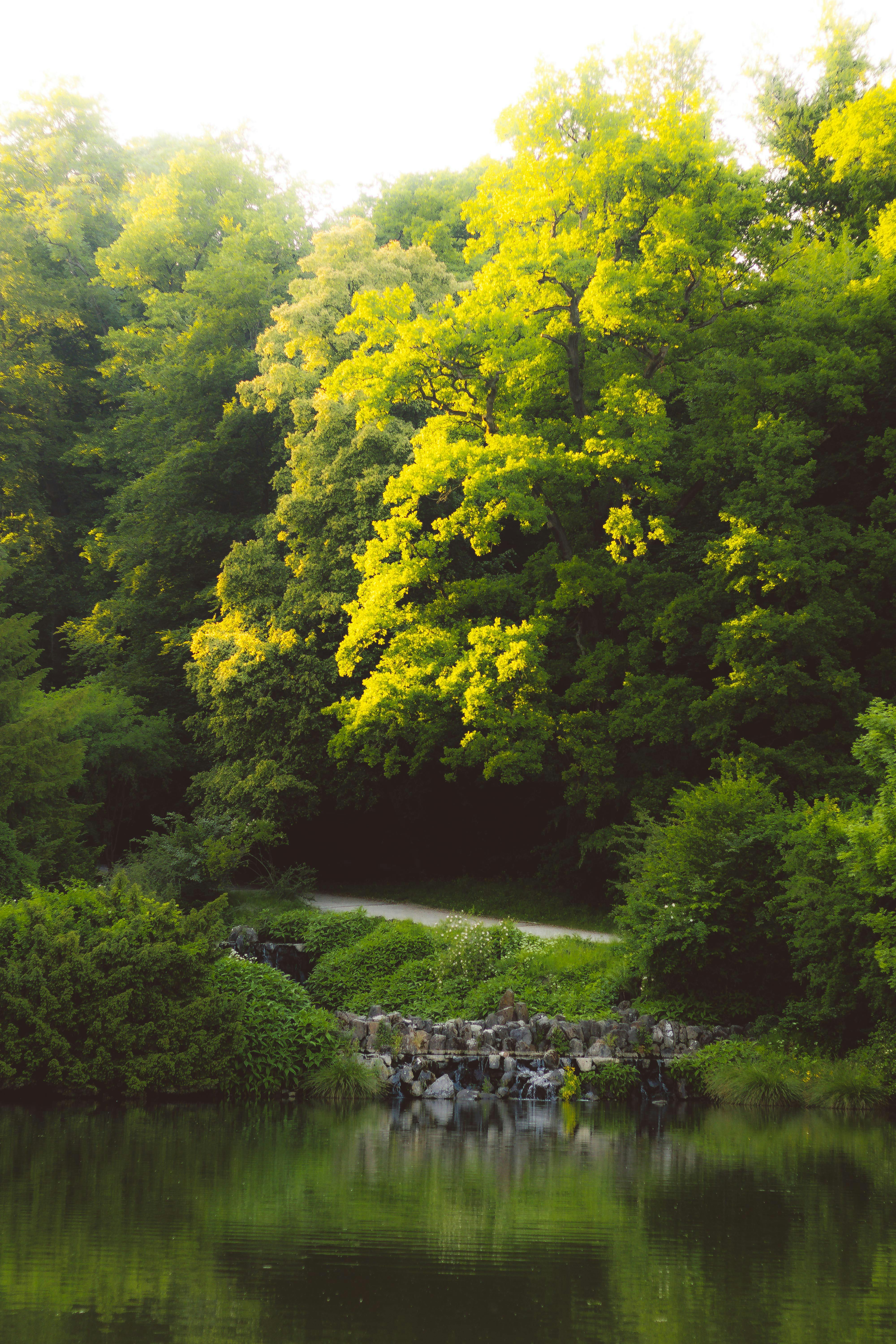 Chromakopia Wallpaper Photos, Download The BEST Free Chromakopia ...