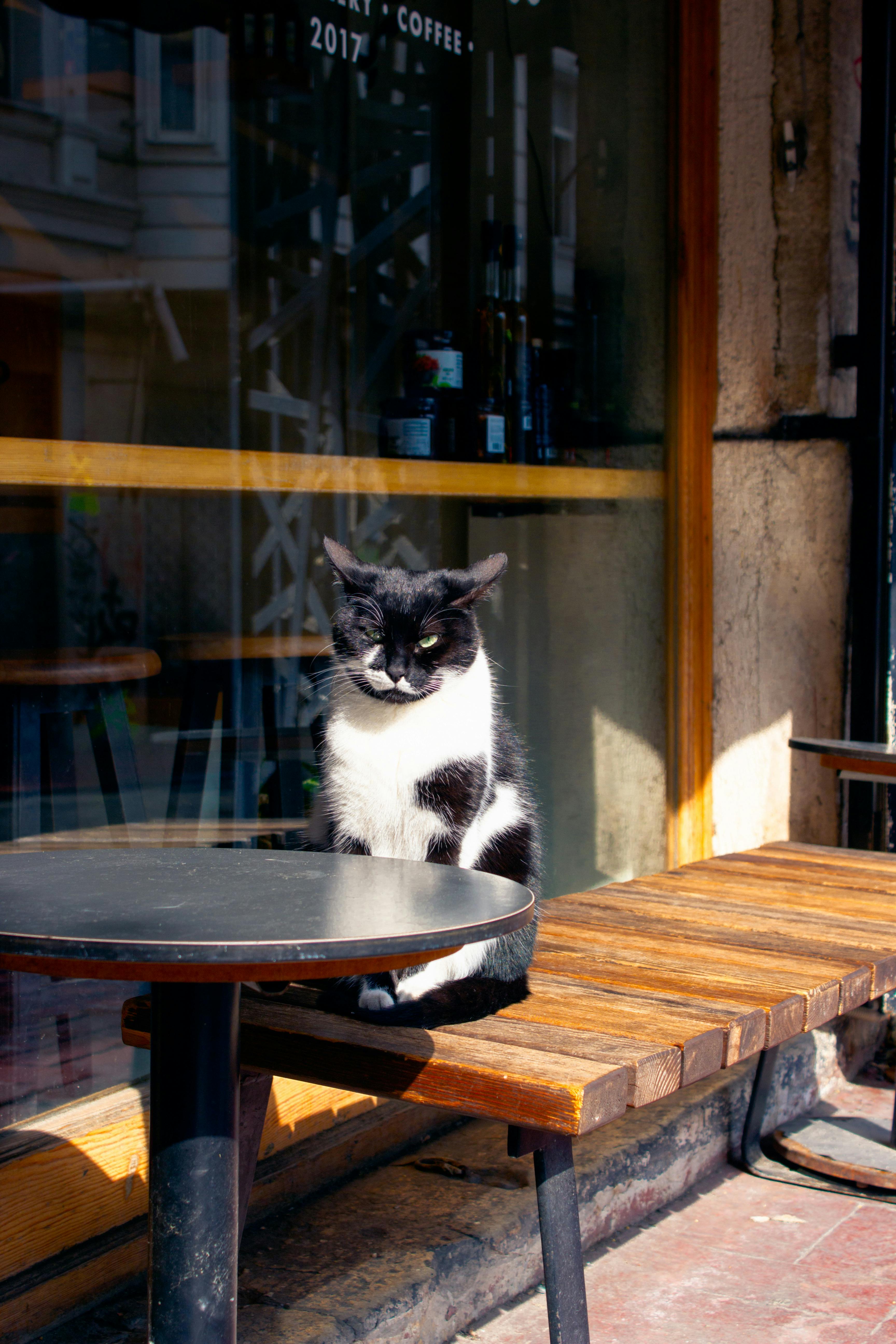 Anime+Girl+Feet+Pfp Photos, Download The BEST Free Anime+Girl+Feet+Pfp ...