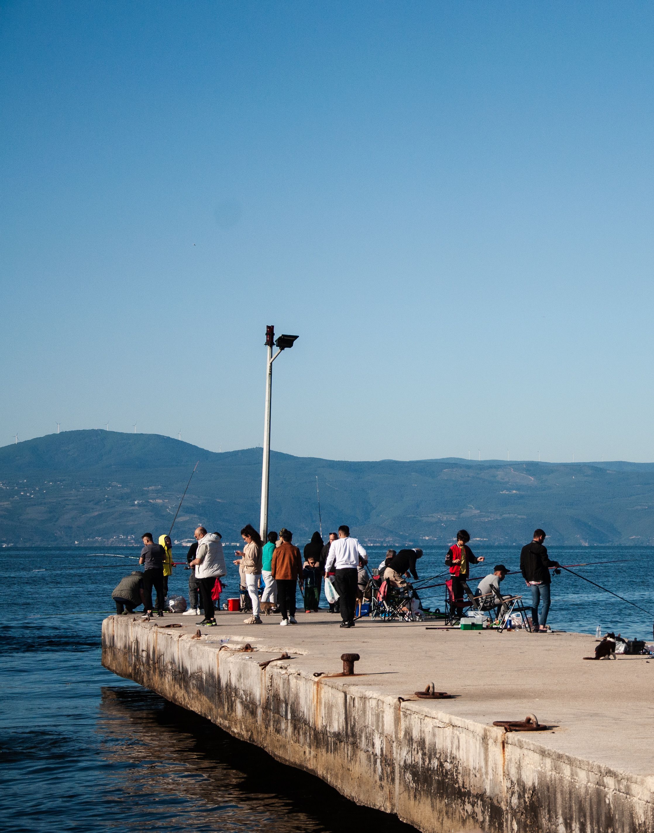 Group Fishing on a Pier Under Clear Blue Sky · Free Stock Photo