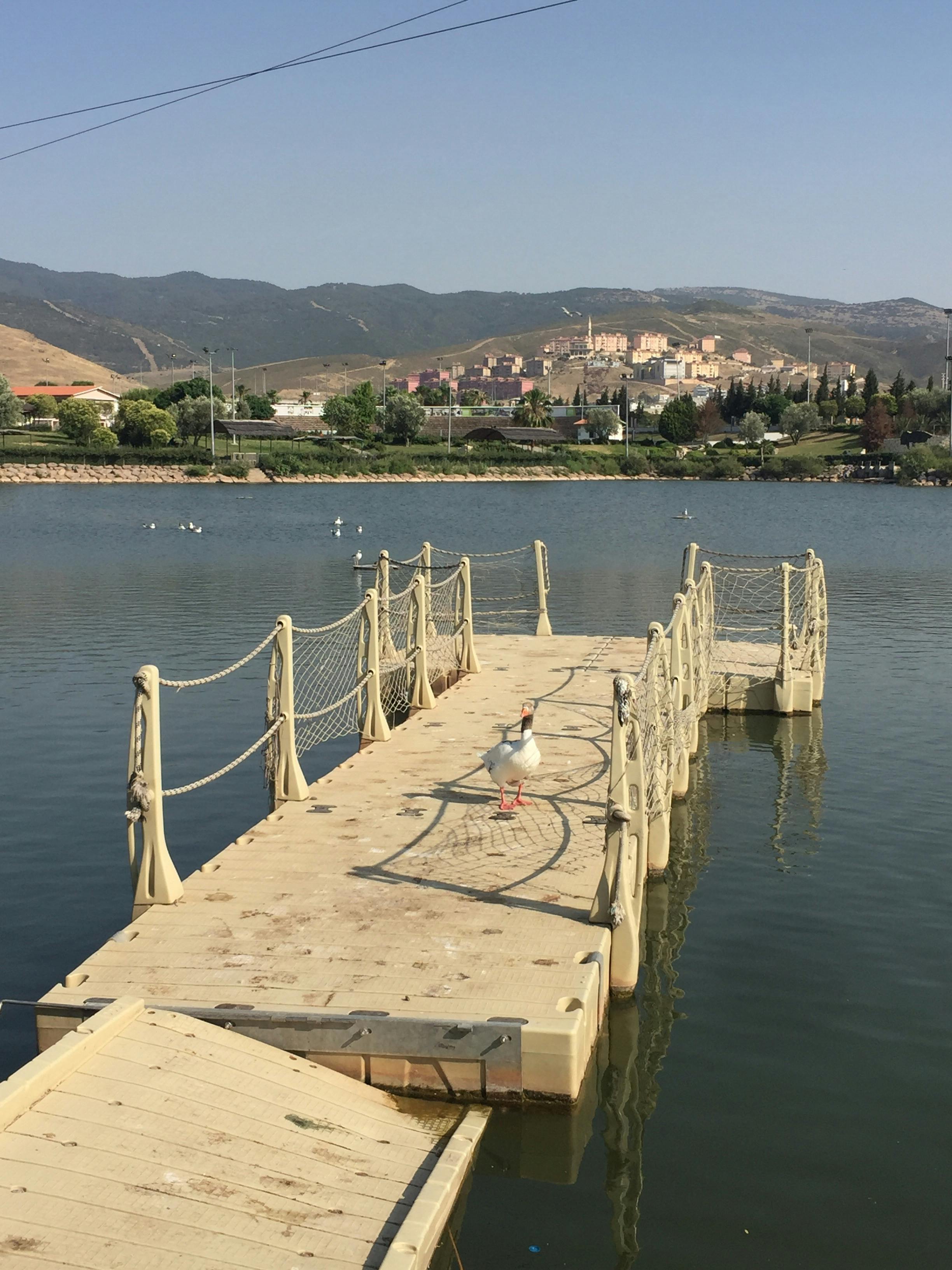 Wander Photos, Download The BEST Free Wander Stock Photos & HD Images